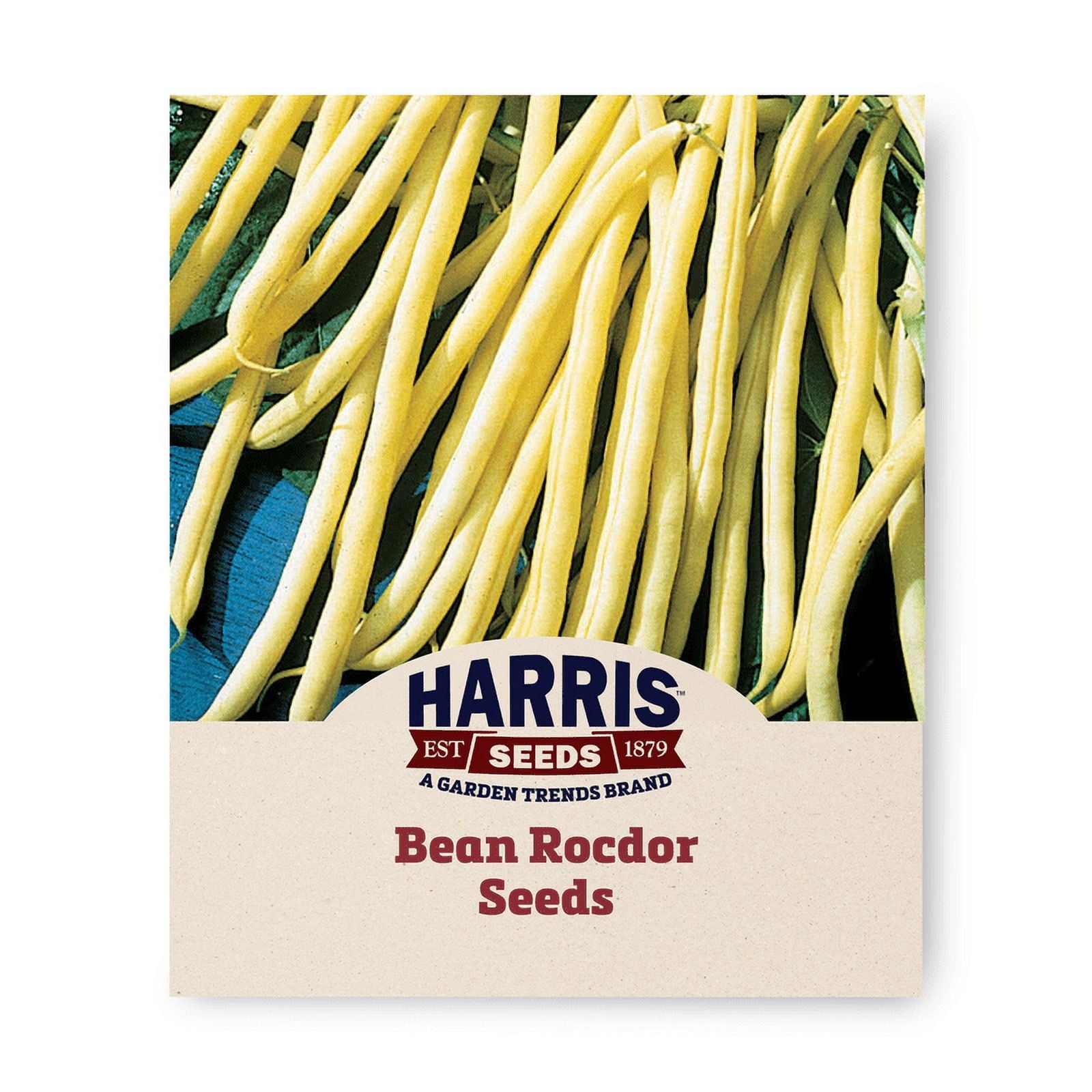 Harris Seeds - Deep Yellow Rocdor Bean Seeds, Treated Non-GMO - 100 ...