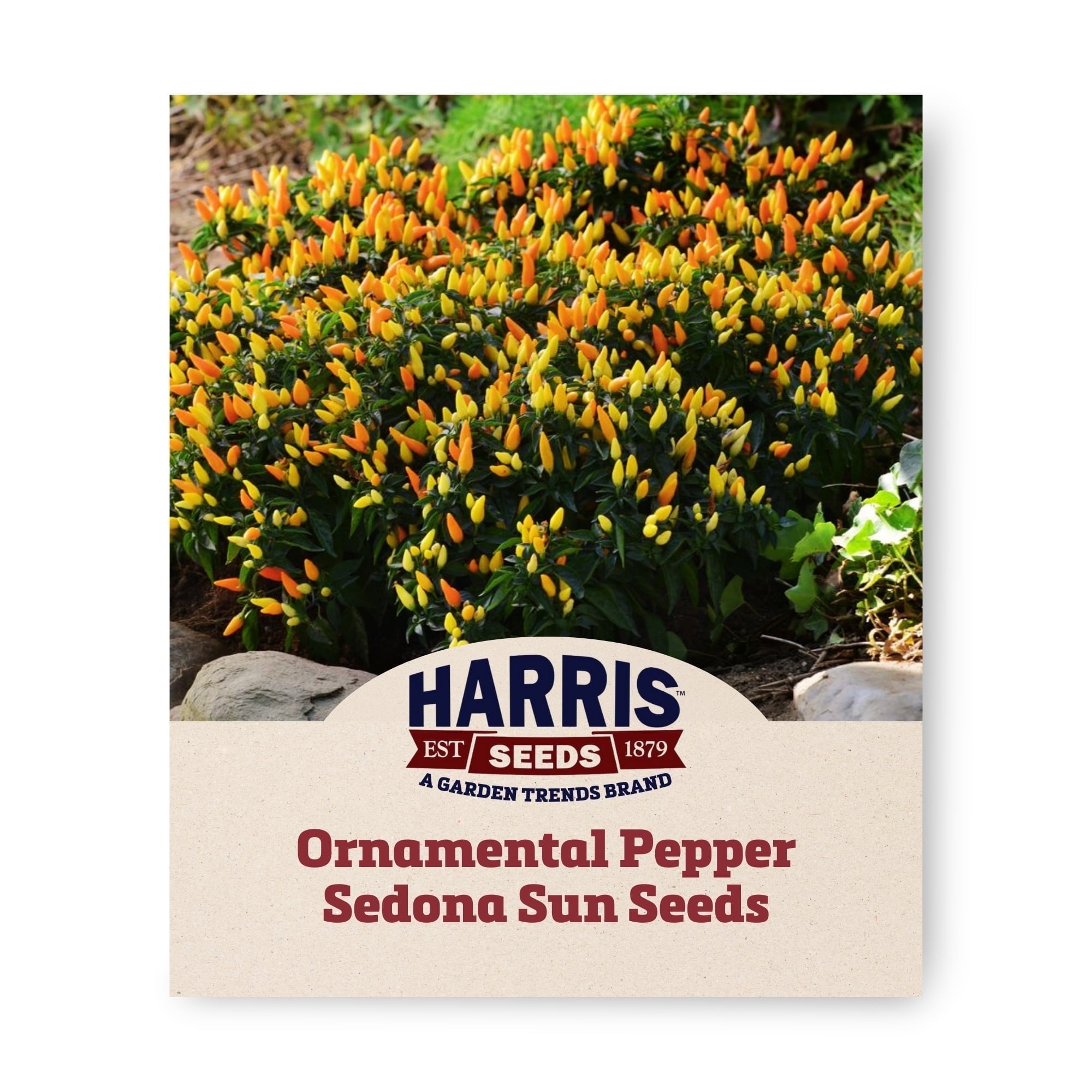 Harris Seeds 100 Ornamental Pepper Sedona Sun Plant Seeds - Walmart.com