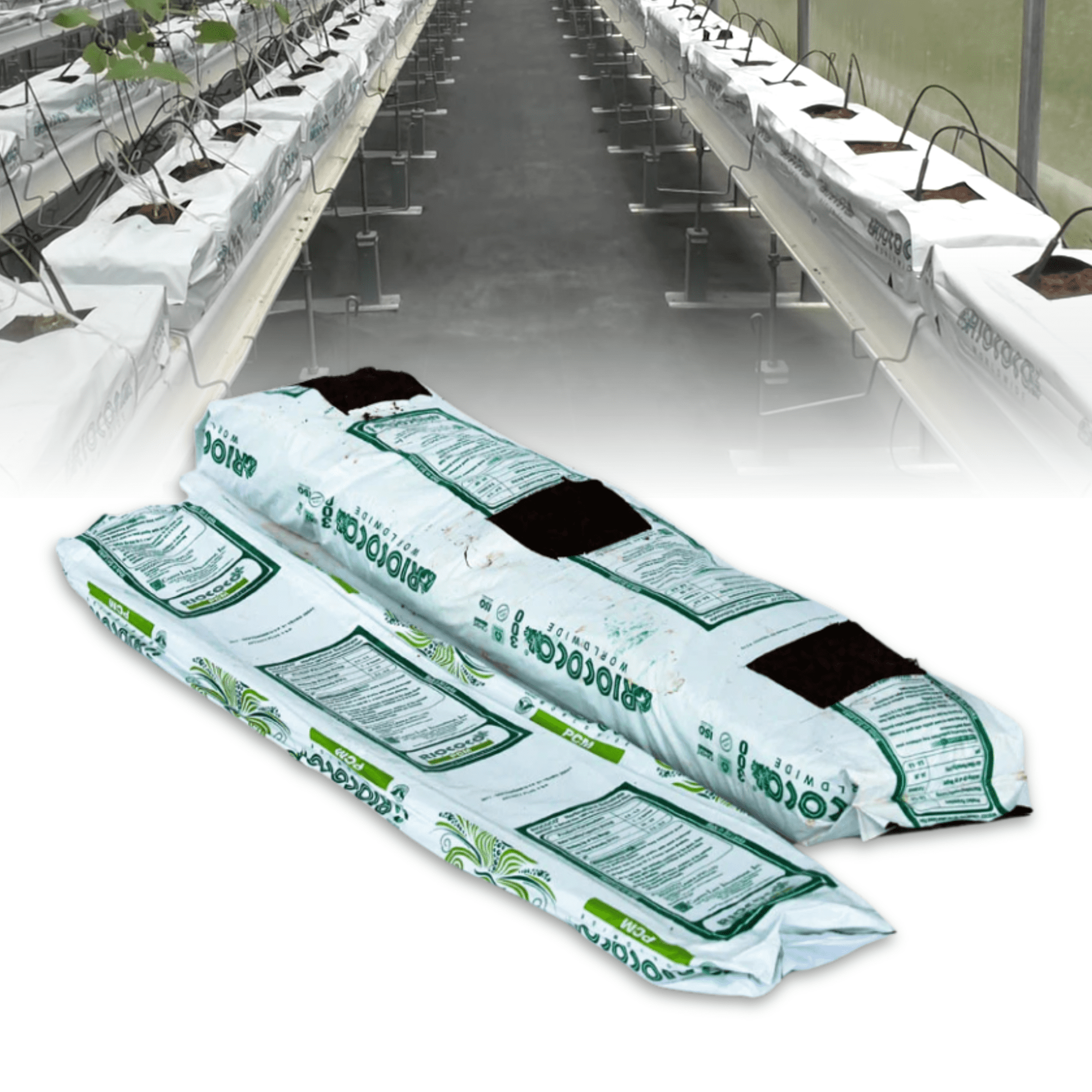 Harris Seeds - 15 Liter Coir Grow Slabs - Hydroponic White with Green ...