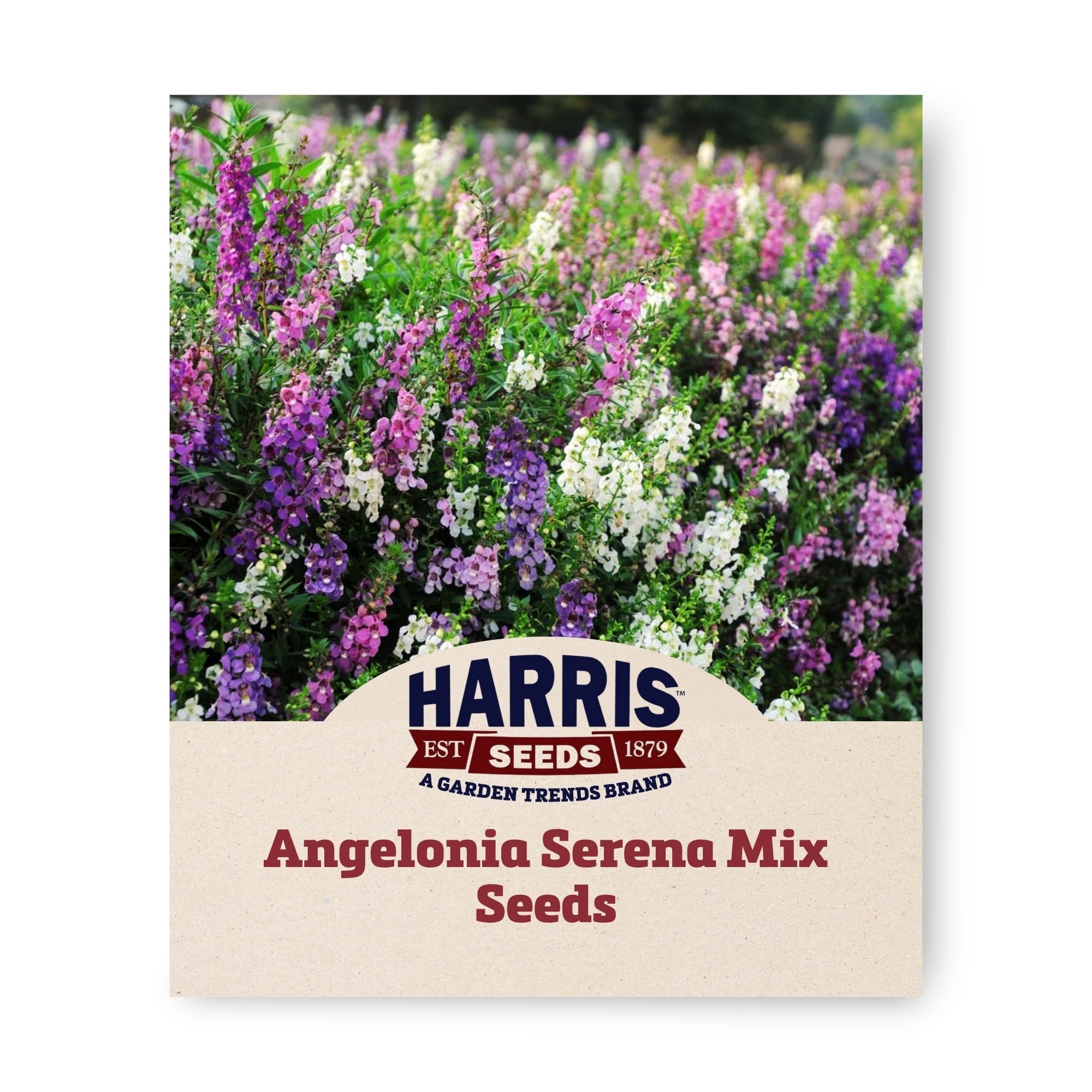 Harris Seeds 403910 Angelonia Serena Mix F1 Plant Seeds - Walmart.com