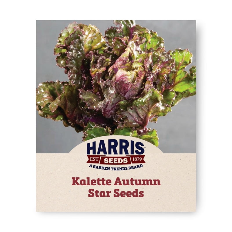Harris Seeds Kalette Autumn Star F1, Non-GMO Brussels Sprout Kale Cross ...