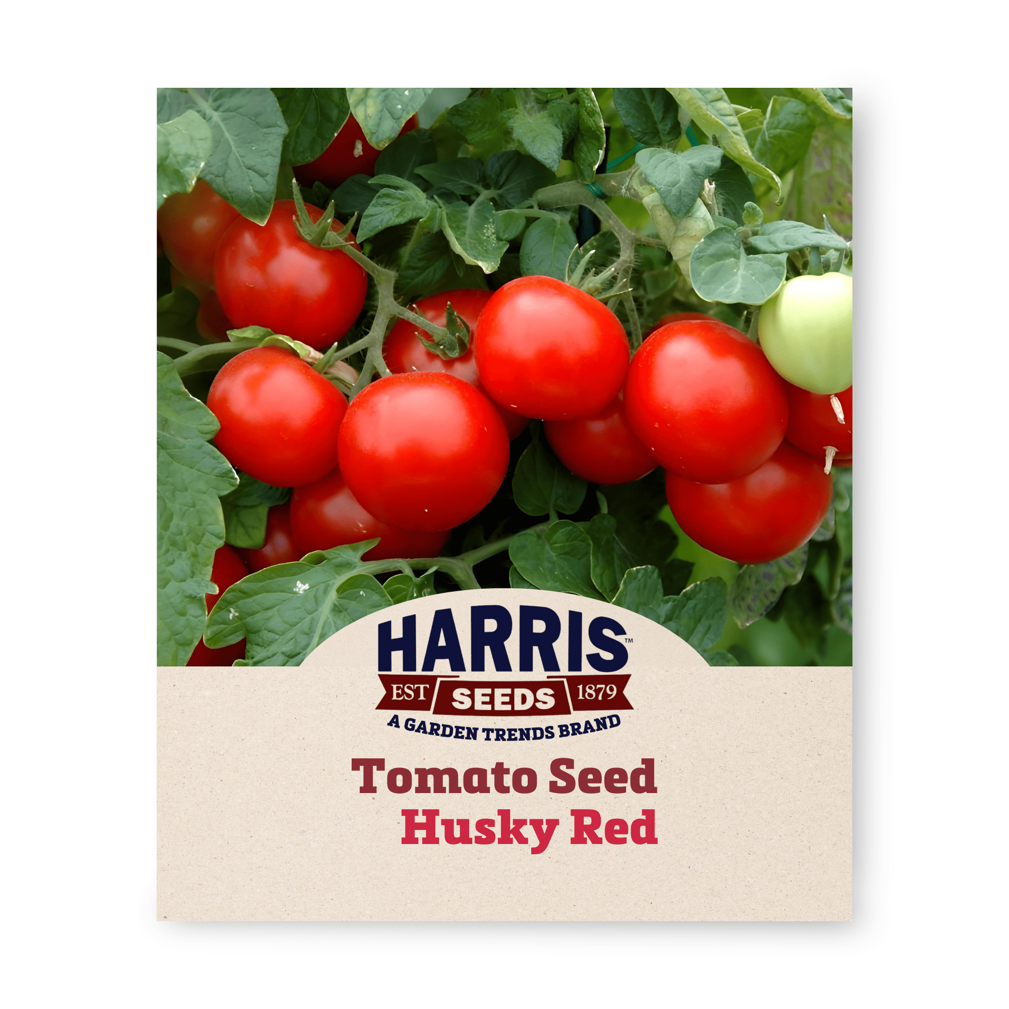 Harris Seeds 50 Husky Red Variety Treated Tomato Plant Seeds - Walmart.com