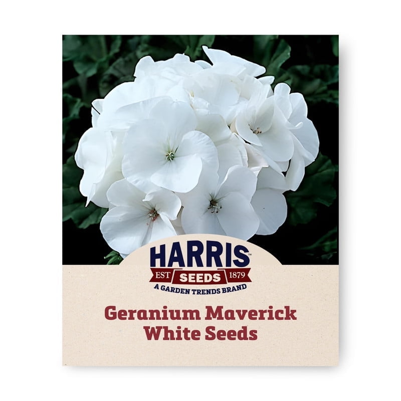 Harris Seeds 81875 Geranium Maverick White F1 Plant Seeds - Walmart.com
