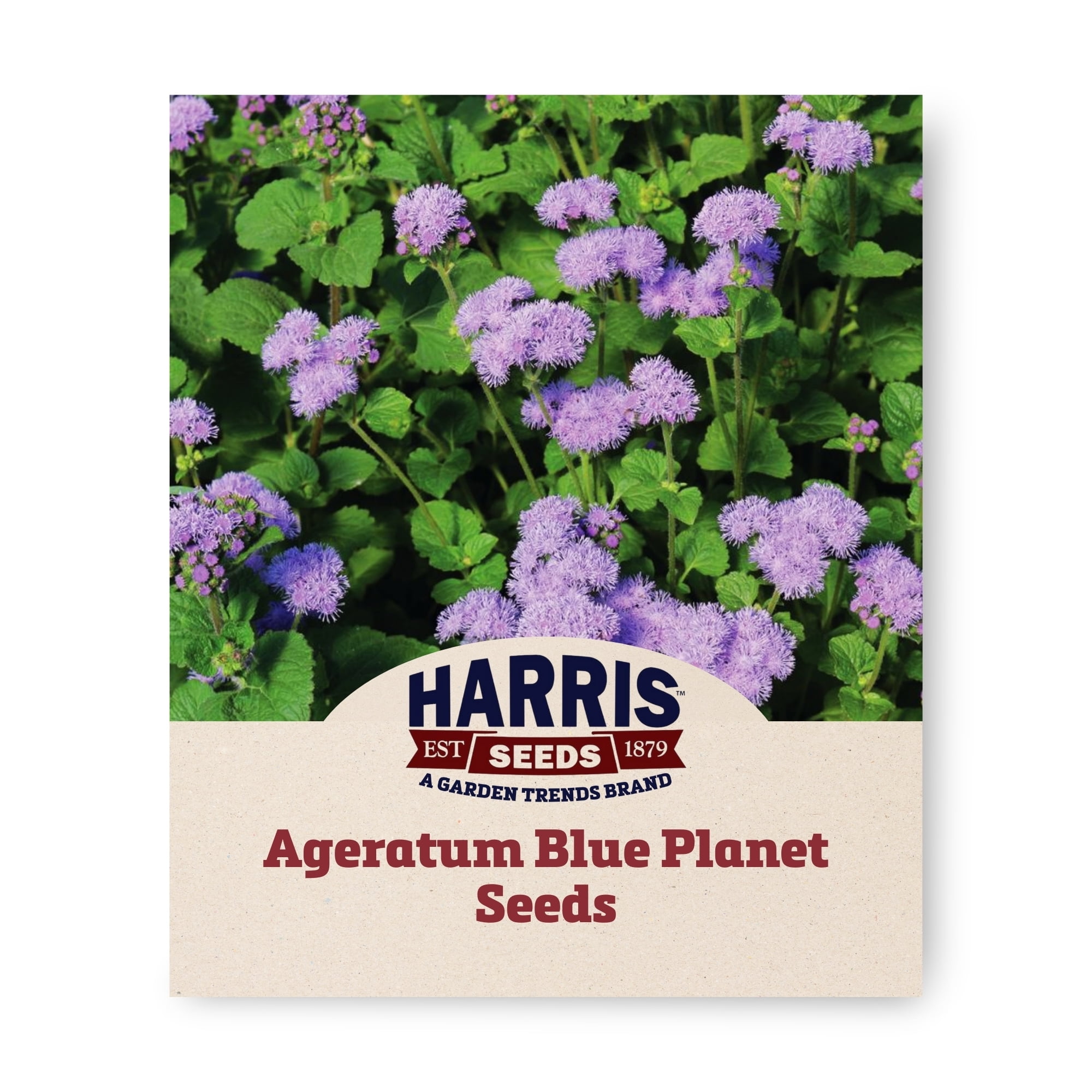 Harris Seeds - Ageratum Blue Planet F1 Seeds - Fast Germination - 500 ...