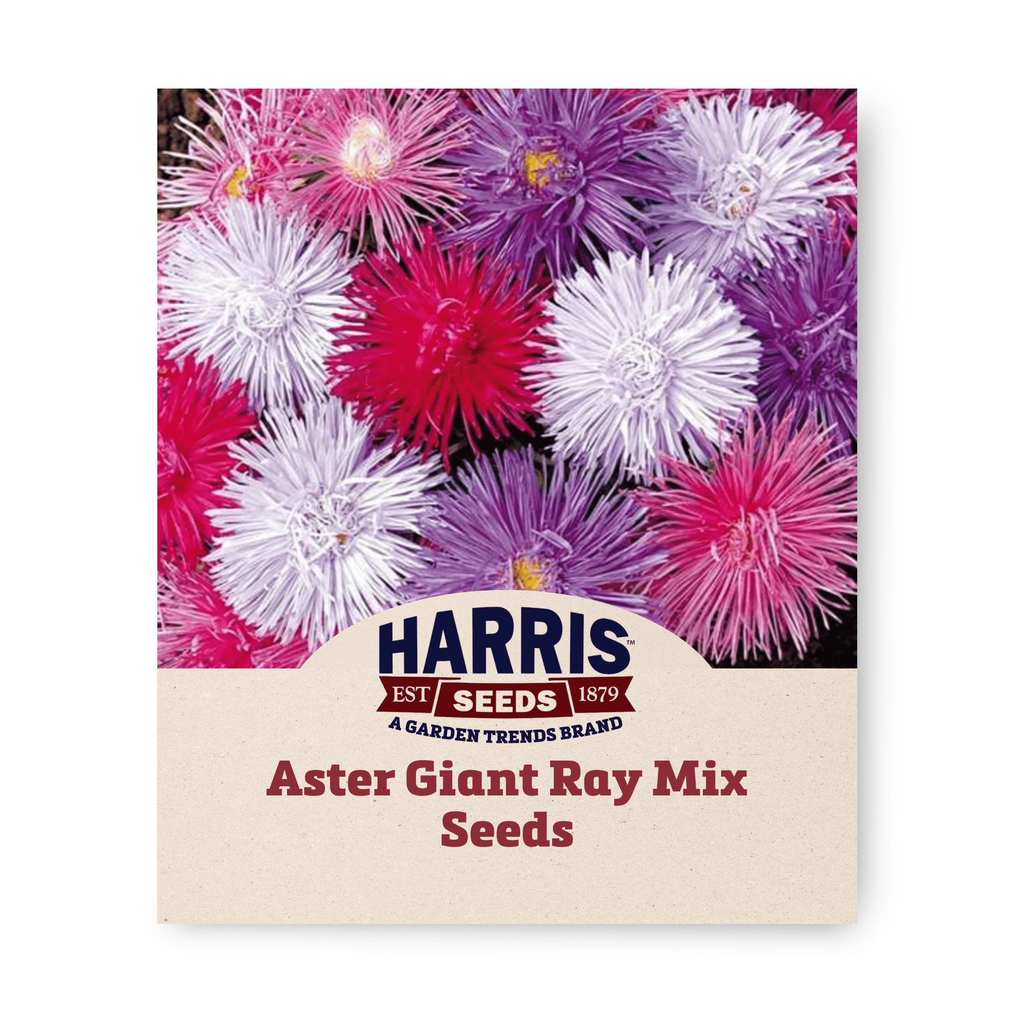Harris Seeds - Aster Giant Ray Mix Flower Seeds - NON-GMO - 50 Seeds ...