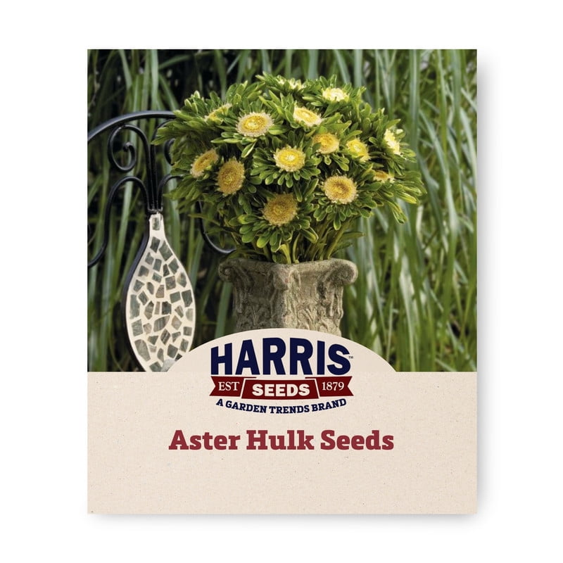 Harris Seeds - Aster Hulk Seeds For Planting - Sturdy Stems - 500 Seeds ...