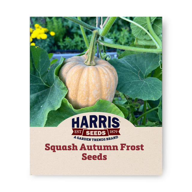 Harris Seeds - Autumn Frost Squash Seeds - Organic - Non-GMO - 50 Seeds ...