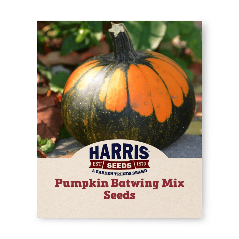 Harris Seeds, Batwing Mix Pumpkin Seeds, Ornamental Small Fruits ...