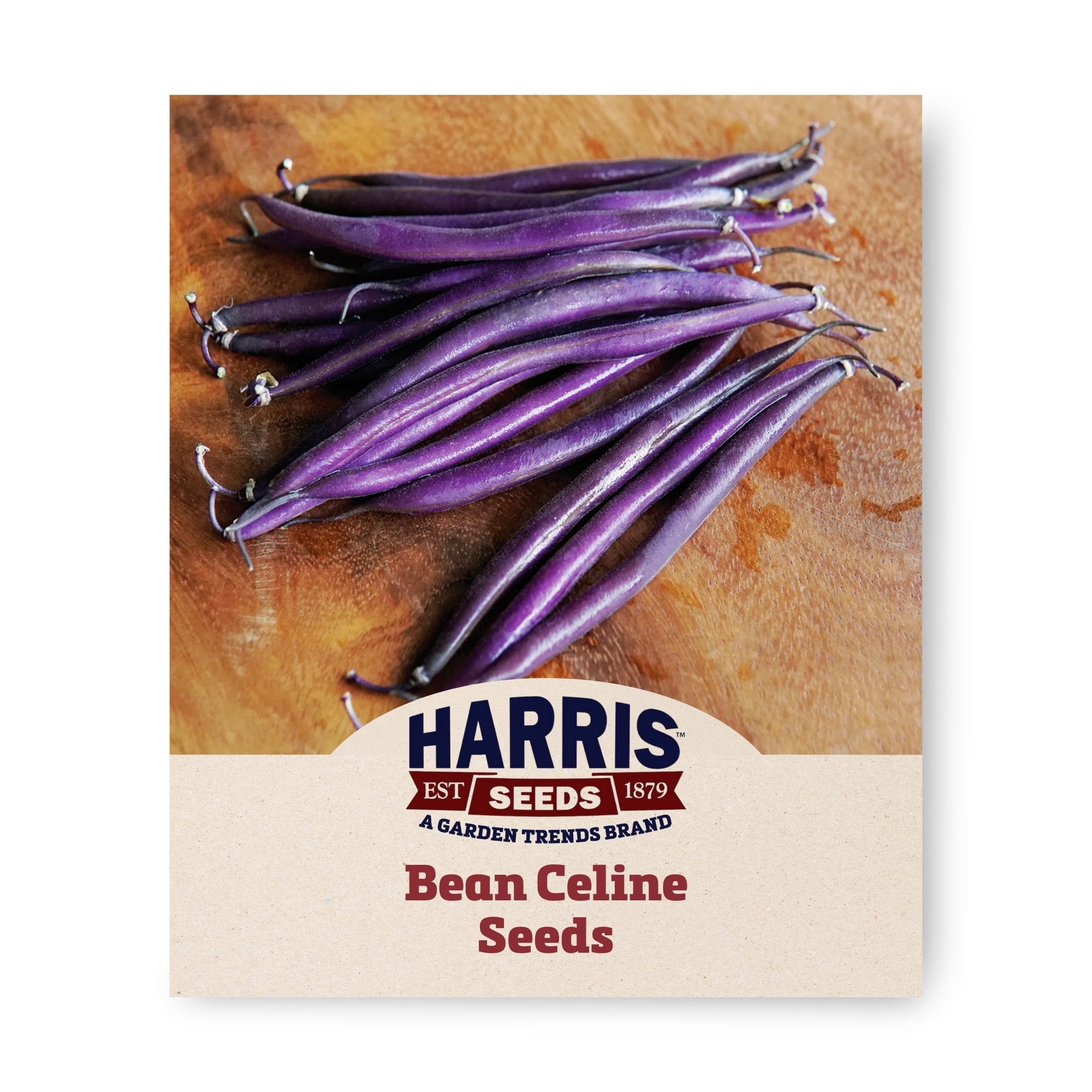 Harris Seeds - Bean Celine Organic Seeds - Sweet Purple Fruits - 1,000 ...
