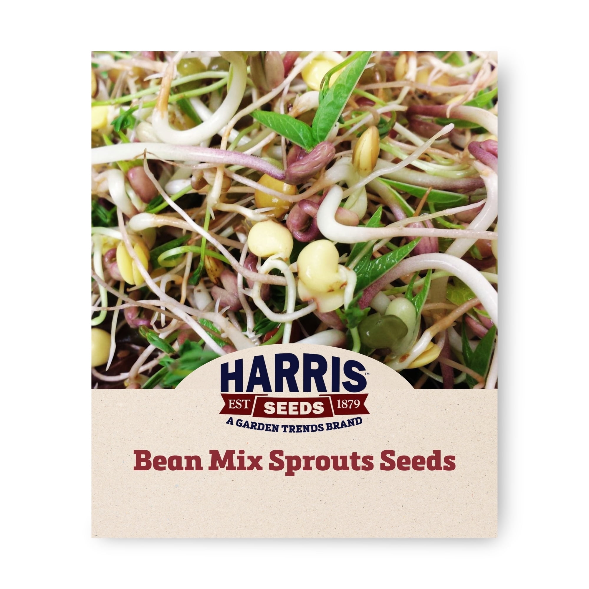 Mung Bean Mix Sprouts Seeds for Planting - High Protein, Tasty Three ...
