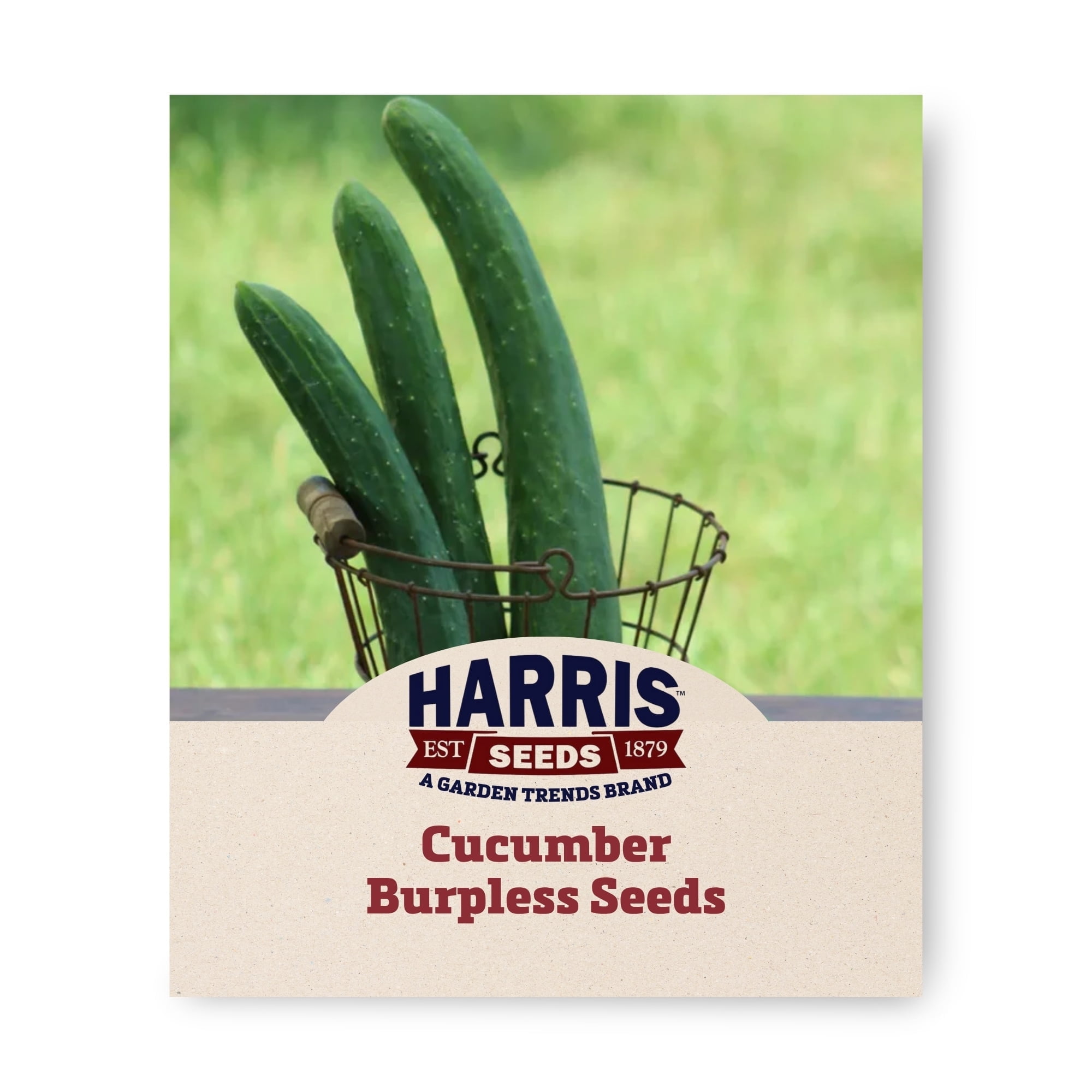 Harris Seeds - Burpless 26 F1 Cucumber Seeds - Non-GMO - Treated, 1K ...