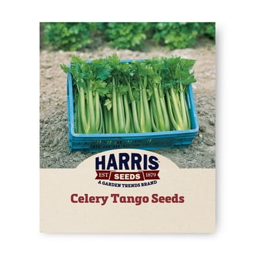 Harris Seeds - Lettuce Seeds - Fossey Mto Organic Variety - Non-GMO - 50 Seed - Walmart.com