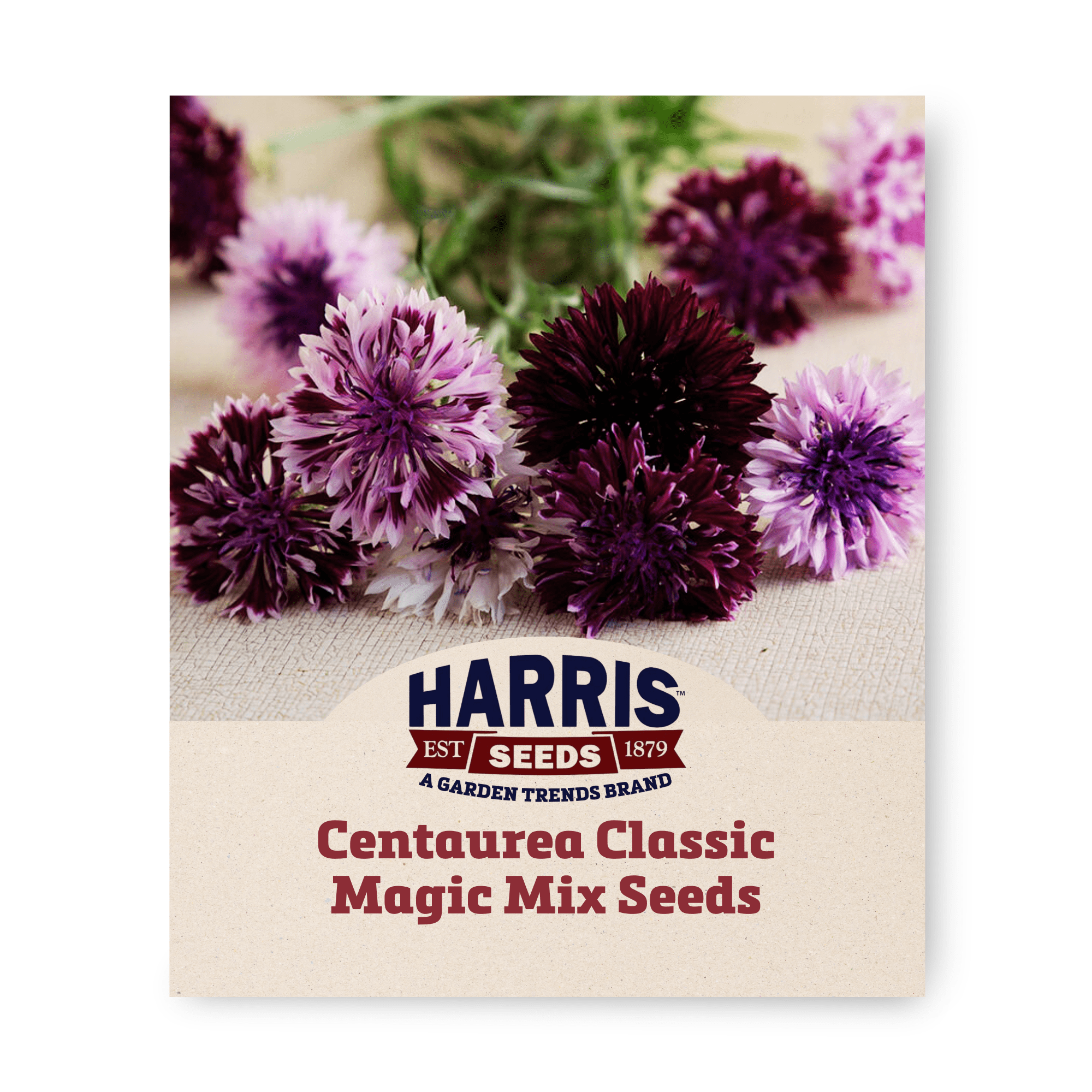 Harris Seeds - Centaurea Classic Magic Mix Seeds - Feathery Flower, NON ...