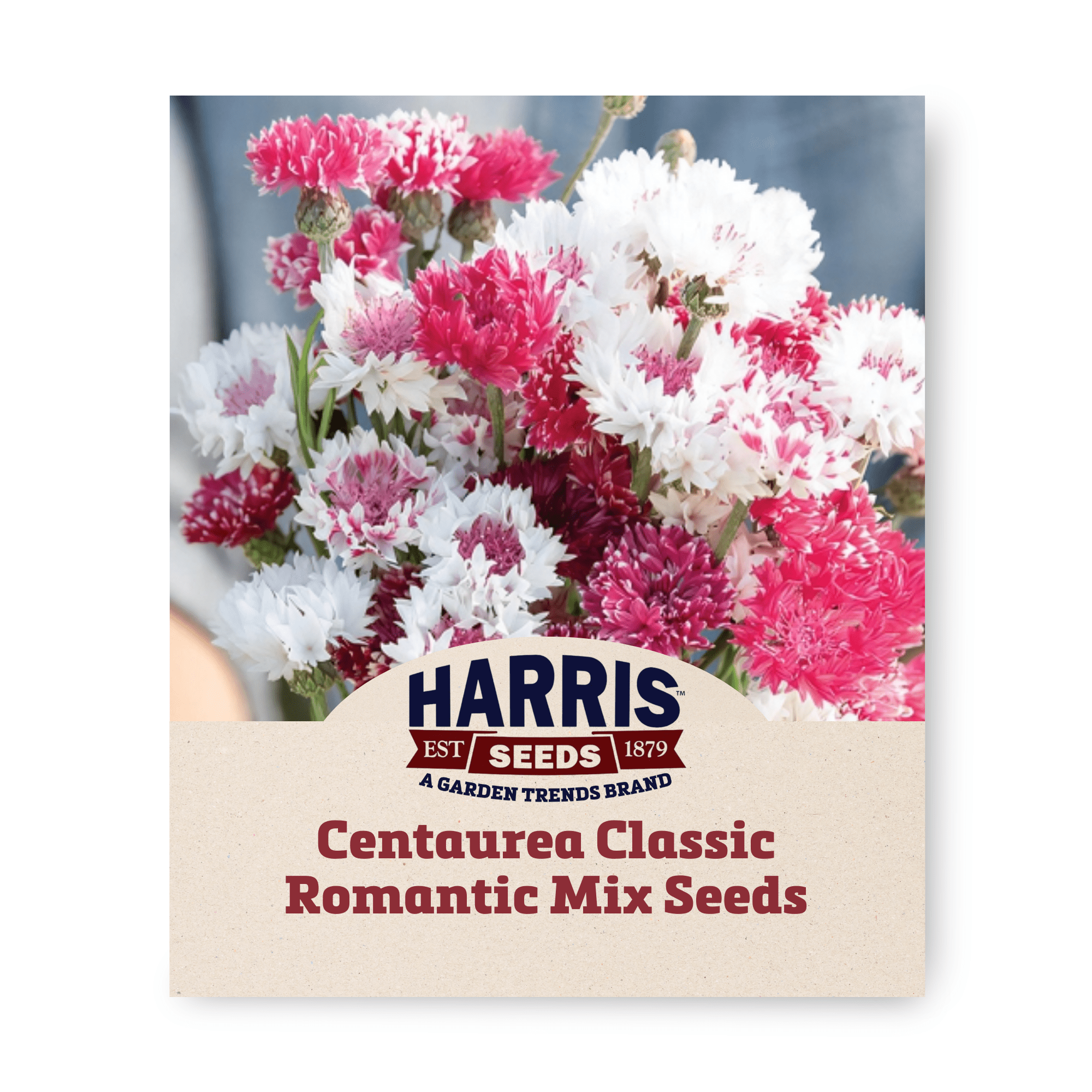 Harris Seeds - Centaurea Classic Romantic Mix Seeds - NON-GMO - 1K ...