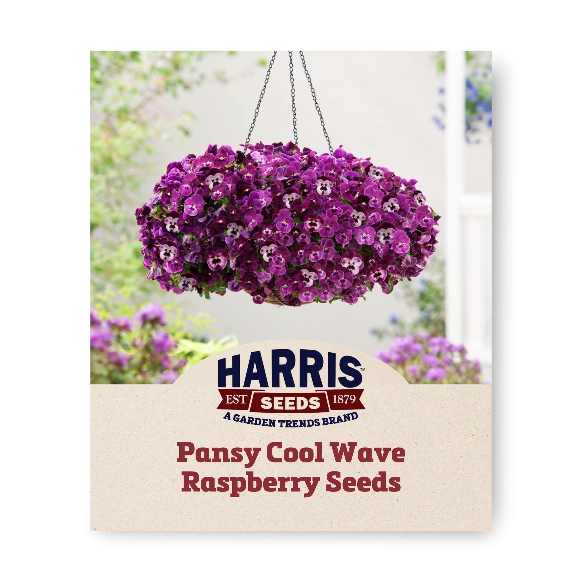 Harris Seeds Cool Wave® Raspberry Seed Plant Seeds, 6-8" Plant Height ...