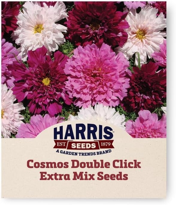 Harris Seeds - Cosmos Double Click Seeds Extra Mix Flowers Non-GMO - 50 ...