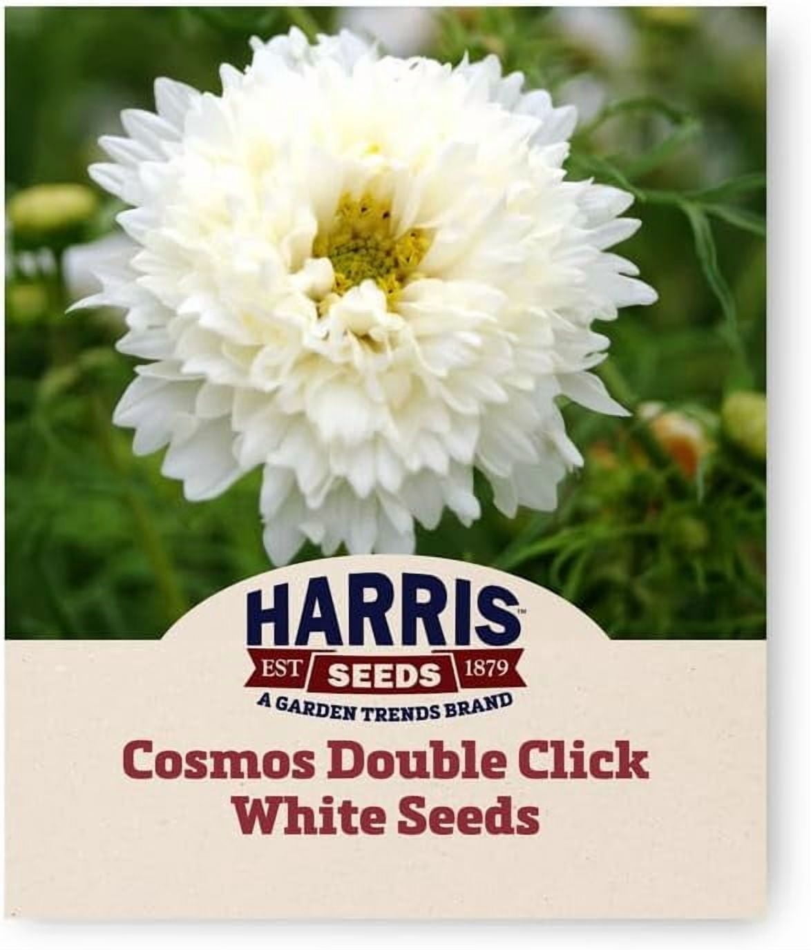 Harris Seeds Cosmos Double Click White, Tall Double Bloom Cut Flower ...
