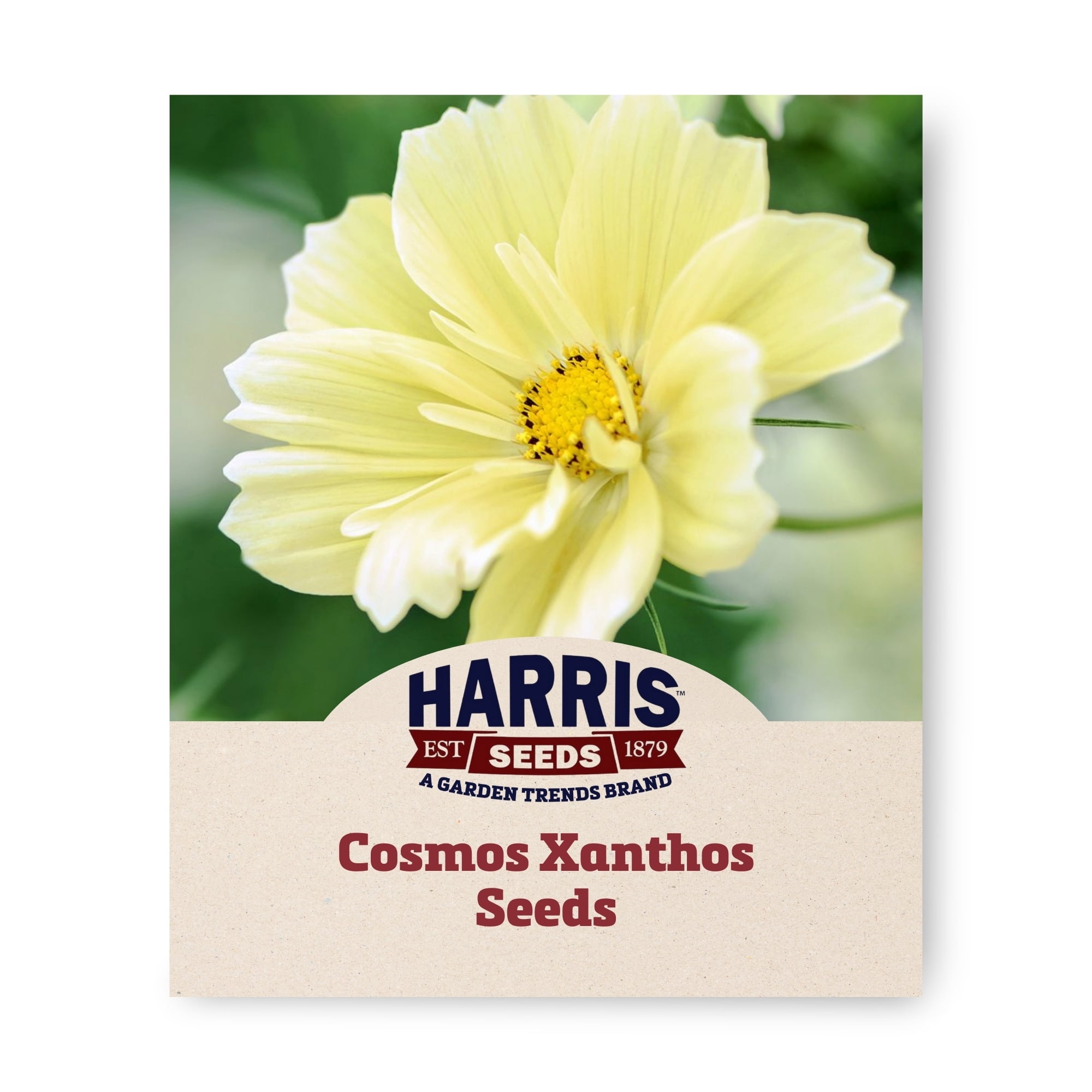 Harris Seeds - Cosmos Xanthos Seeds - Soft Yellow Blooms - 250 Seeds - Walmart.com