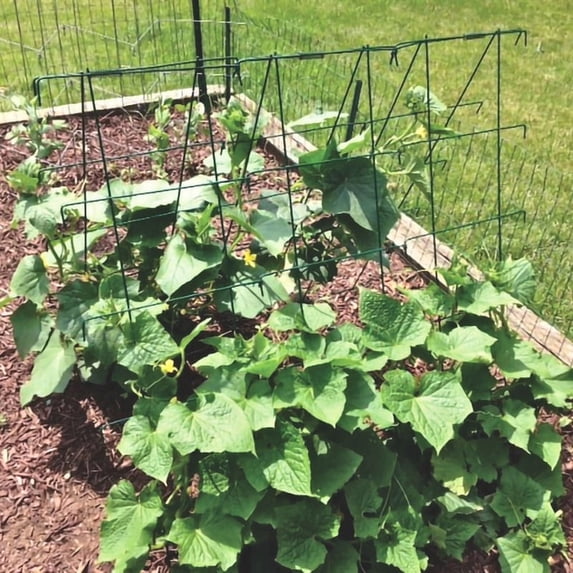 A-Frame Cucumber Support Trellis - Galvanized Steel, 48x42 Inches - 1 ...