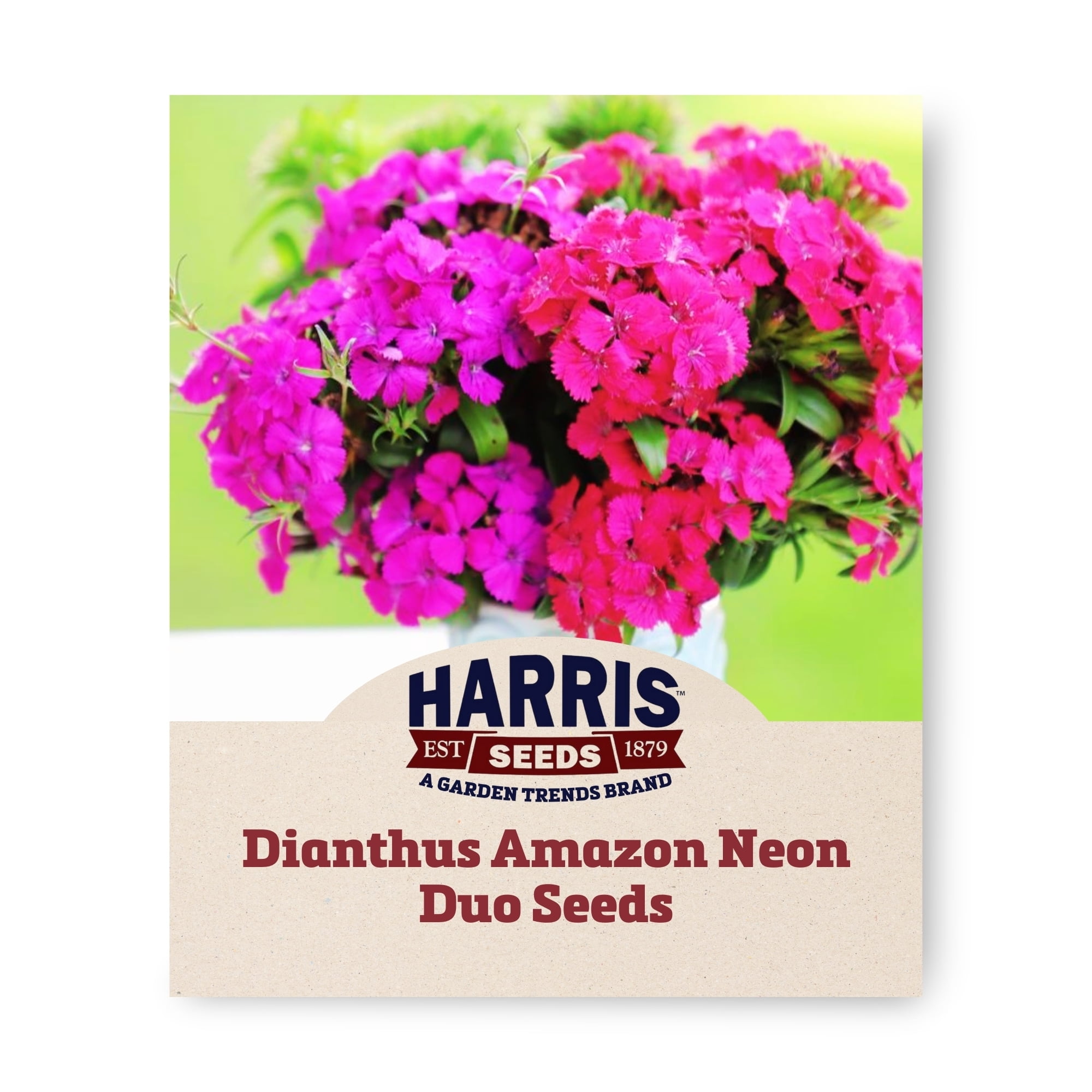 Harris Seeds - Dianthus Amazon Neon Duo F1 Seed Mixture of Cherry and ...