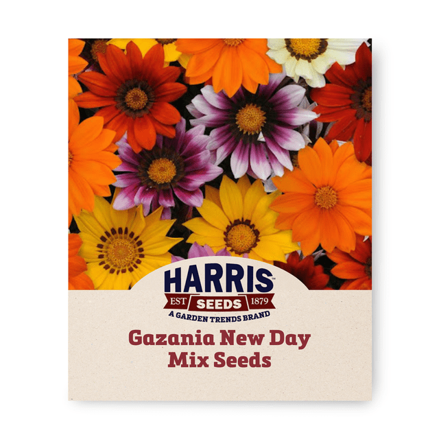 Harris Seeds - F1 Gazania New Day Mix Flowers Seeds, Non-GMO - 50 Seeds ...