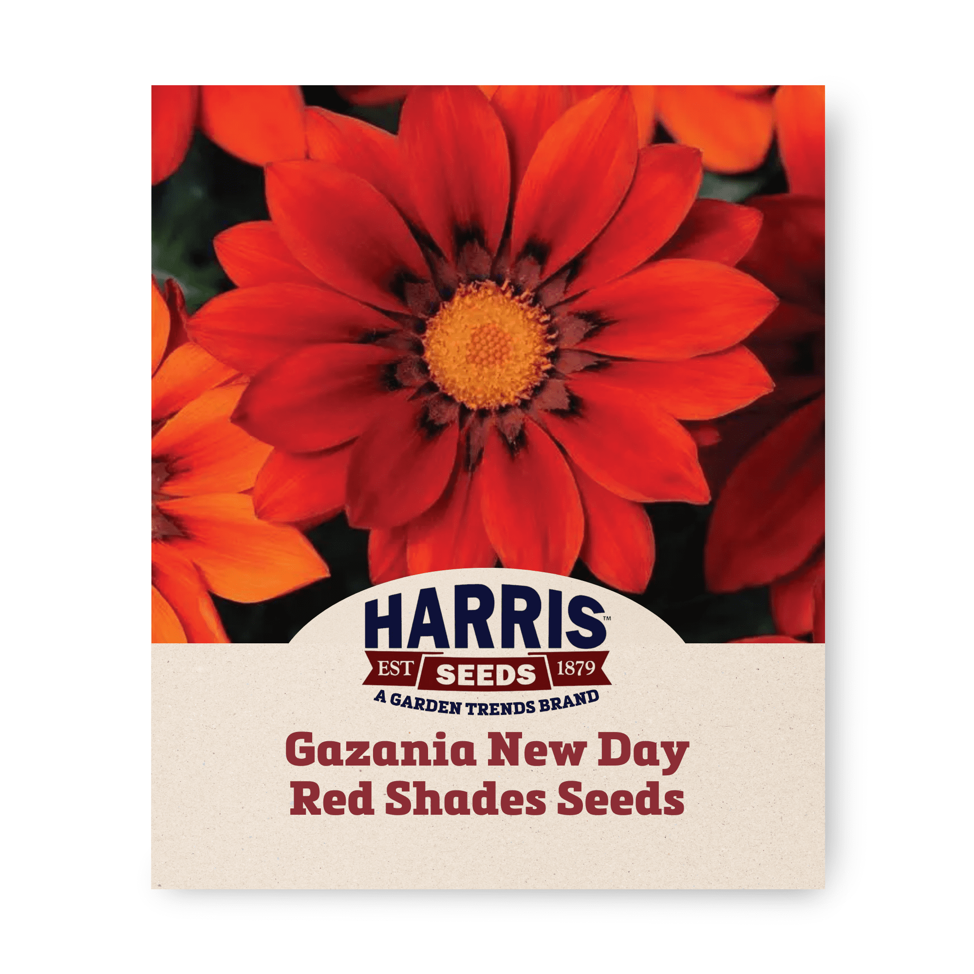 Harris Seeds - F1 Gazania New Day Seeds, Red Shades Non-GMO - 250 Seeds ...