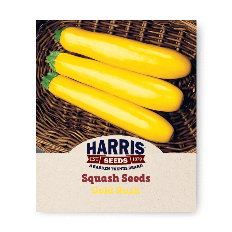 Harris Seeds Gold Rush Yellow Zucchini Squash Seeds Non-GMO - 25 Seeds ...