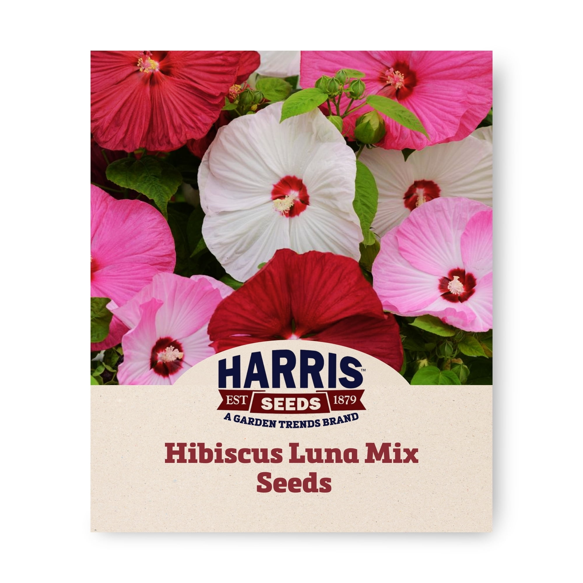 Harris Seeds - Hibiscus Luna Mix F1 Seeds - Large Flowers - Outdoor ...