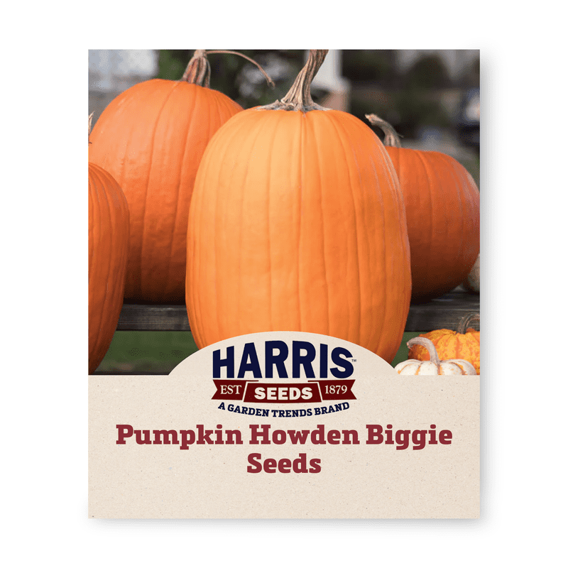 Harris Seeds - Howden Biggie Pumpkin Seeds - Non-GMO - Treated 25 Seeds ...