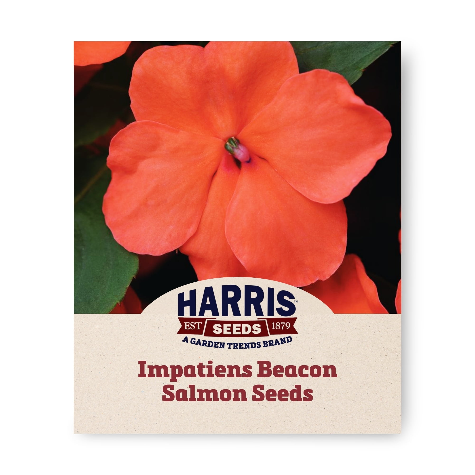 Harris Seeds - Impatiens Beacon Salmon Seeds - Fast Germination - 250 ...