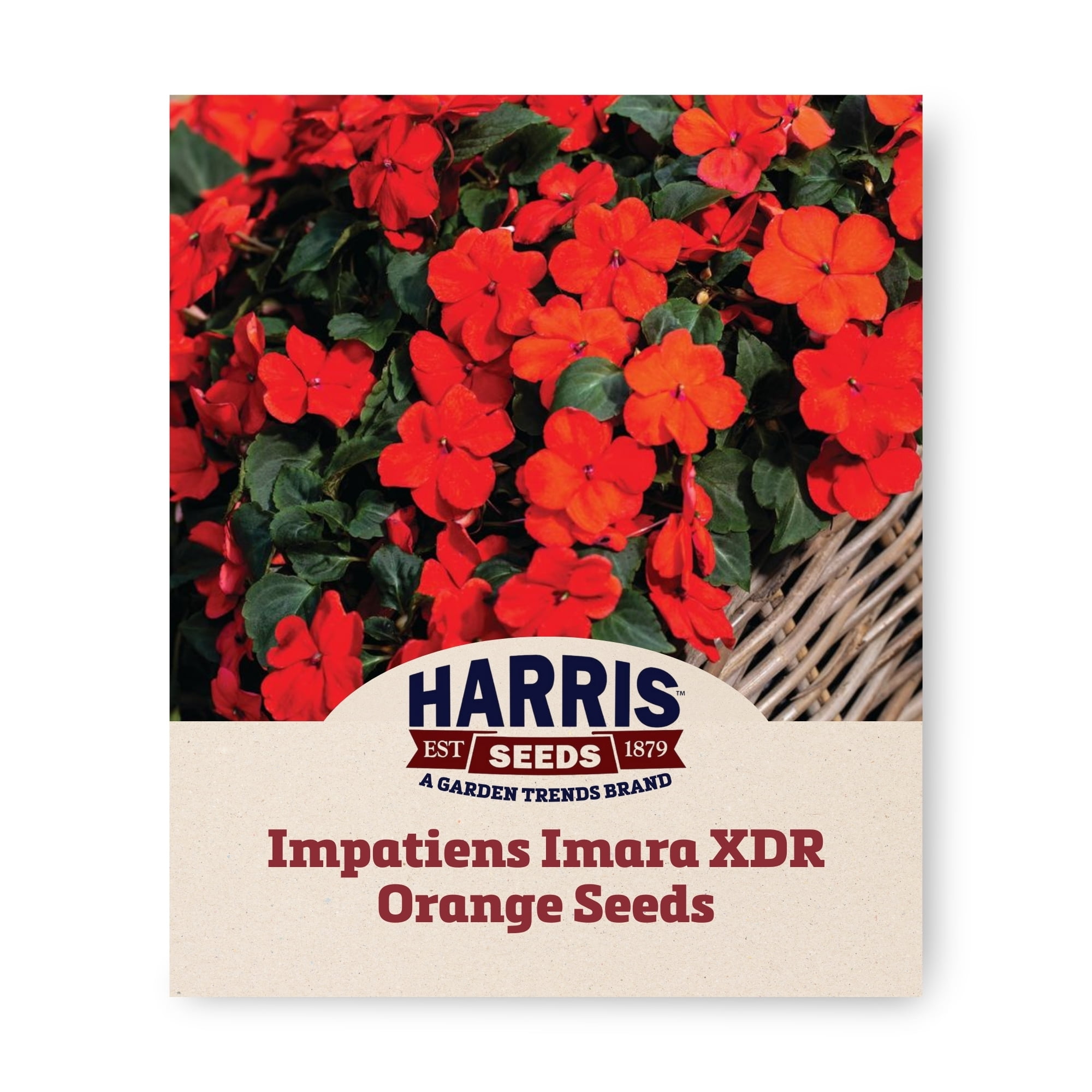 Harris Seeds - Impatiens Imara XDR Orange F1 Seeds For Outdoor Garden ...