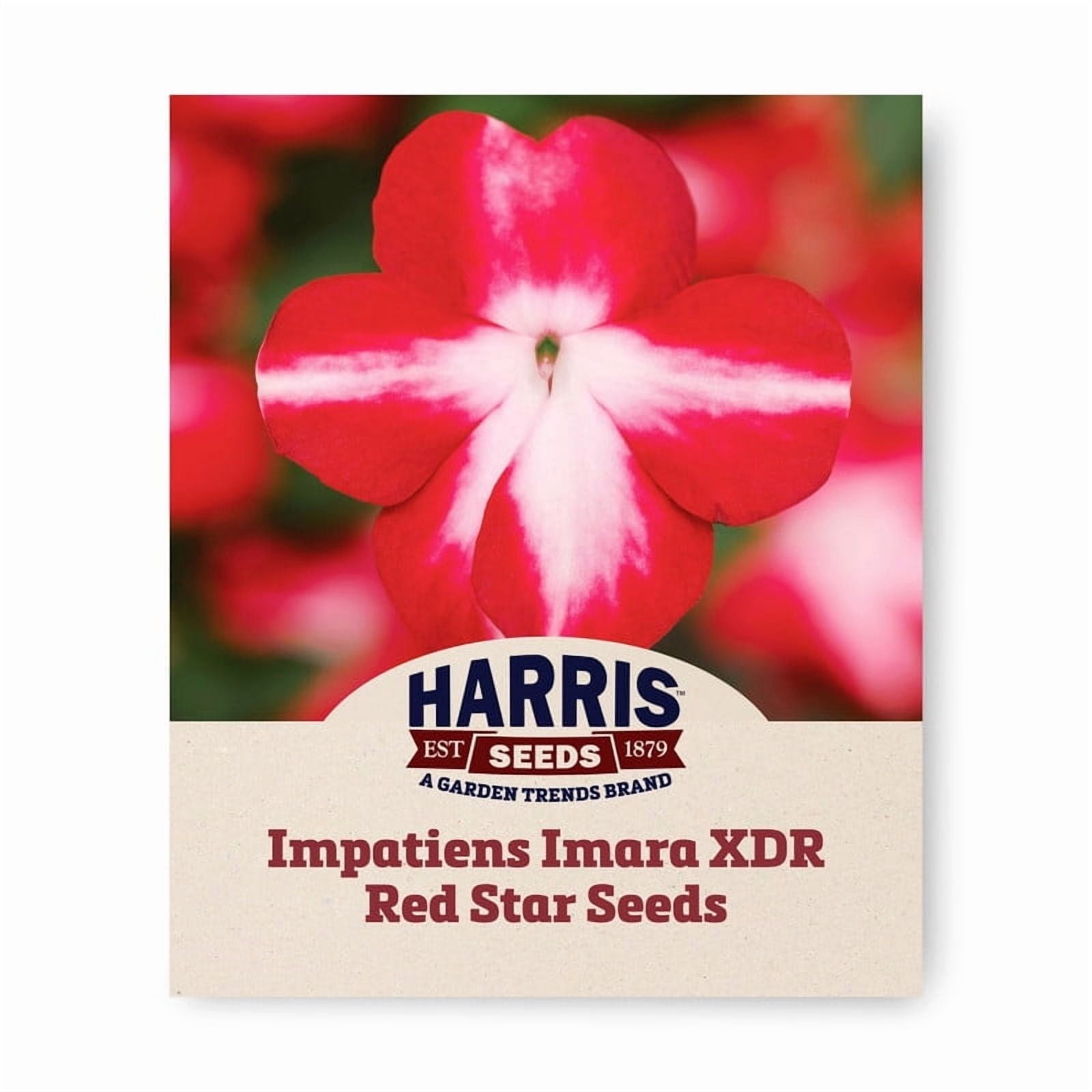 Harris Seeds - Impatiens Seeds - Imara XDR Red Star F1 Variety - 250 ...