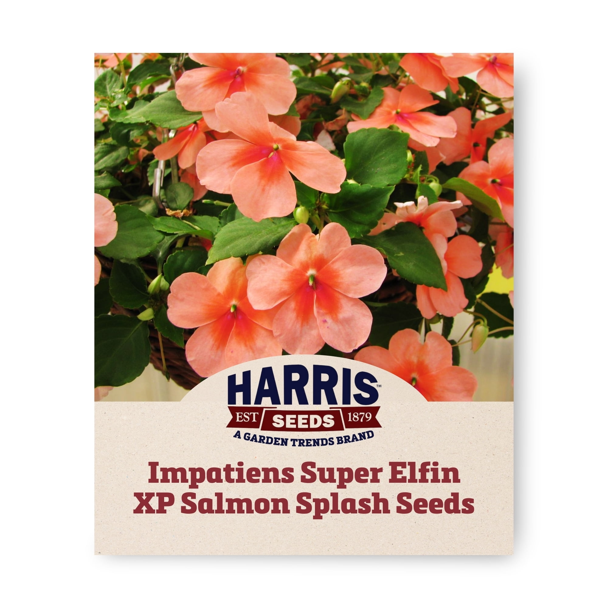 Harris Seeds, Impatiens Super Elfin XP Salmon Splash, Annual Flower ...