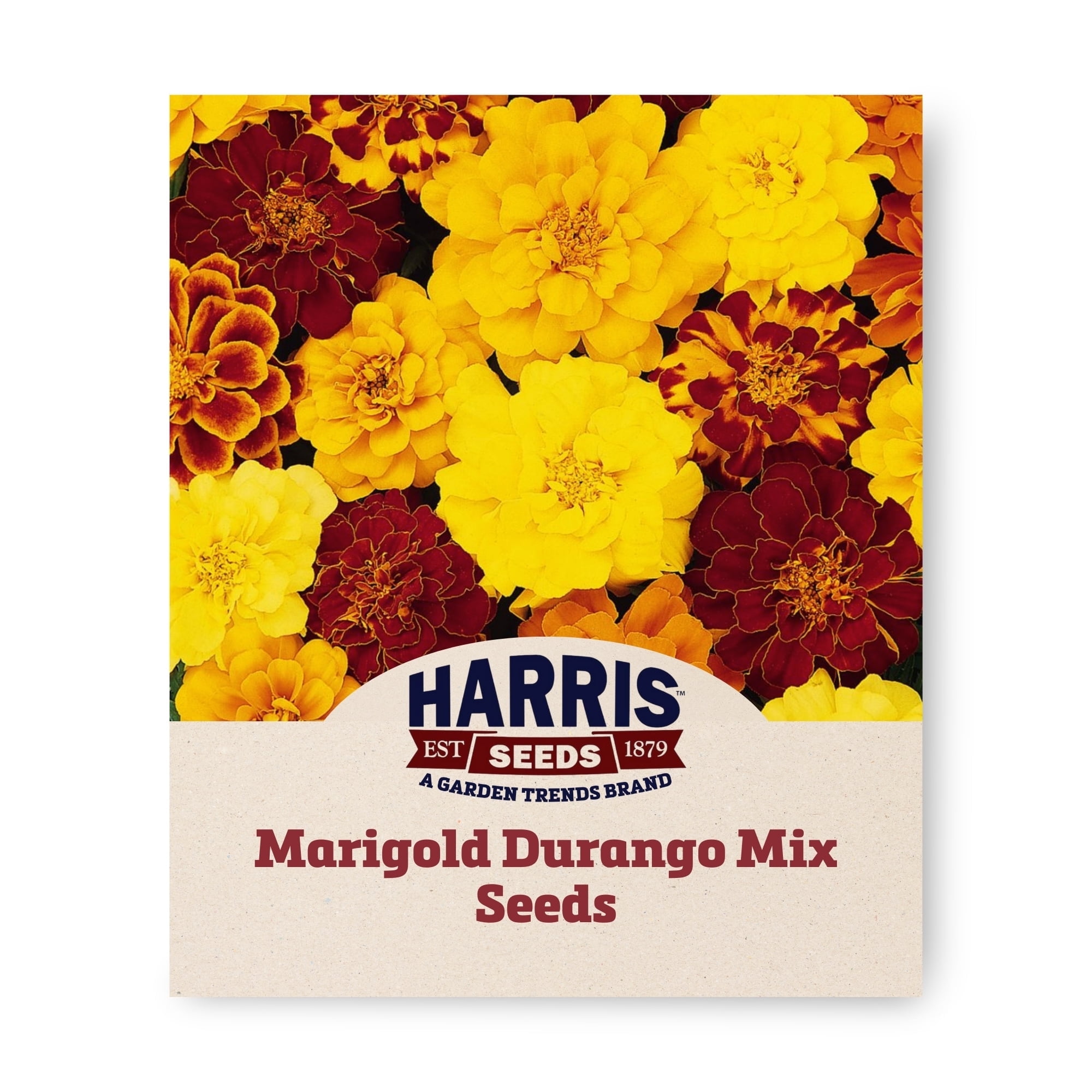 Harris Seeds - Marigold Durango Mix Seeds - Early-Blooming Variety - 50 ...