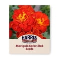 Harris Seeds - Marigold Safari Red Seeds - 500 Seeds - Walmart.com