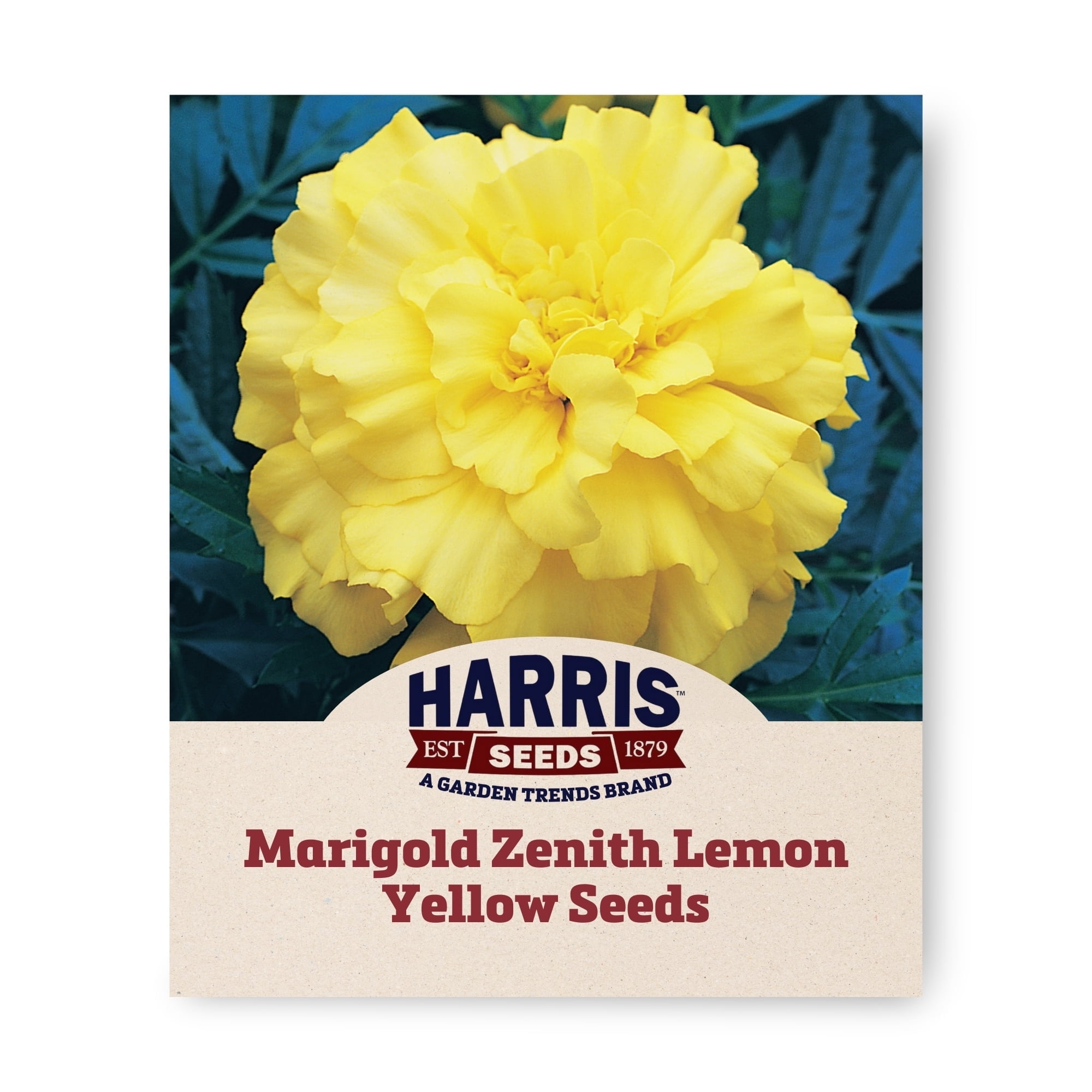 Harris Seeds - Marigold Seeds - Zenith Lemon Yellow Variety - 250 Seeds ...
