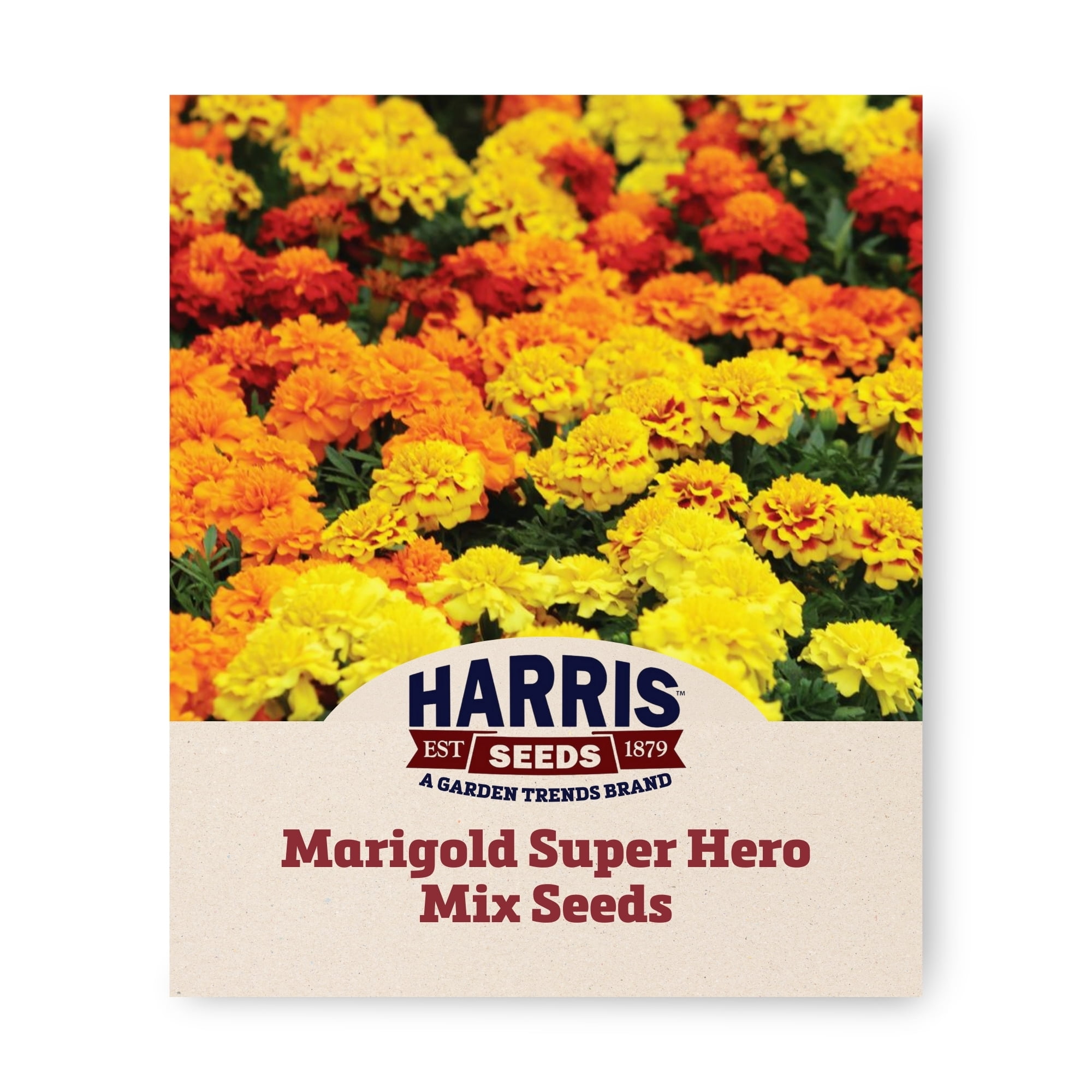 Harris Seeds - Marigold Super Hero Mix Flower Seeds - 500 Seeds ...