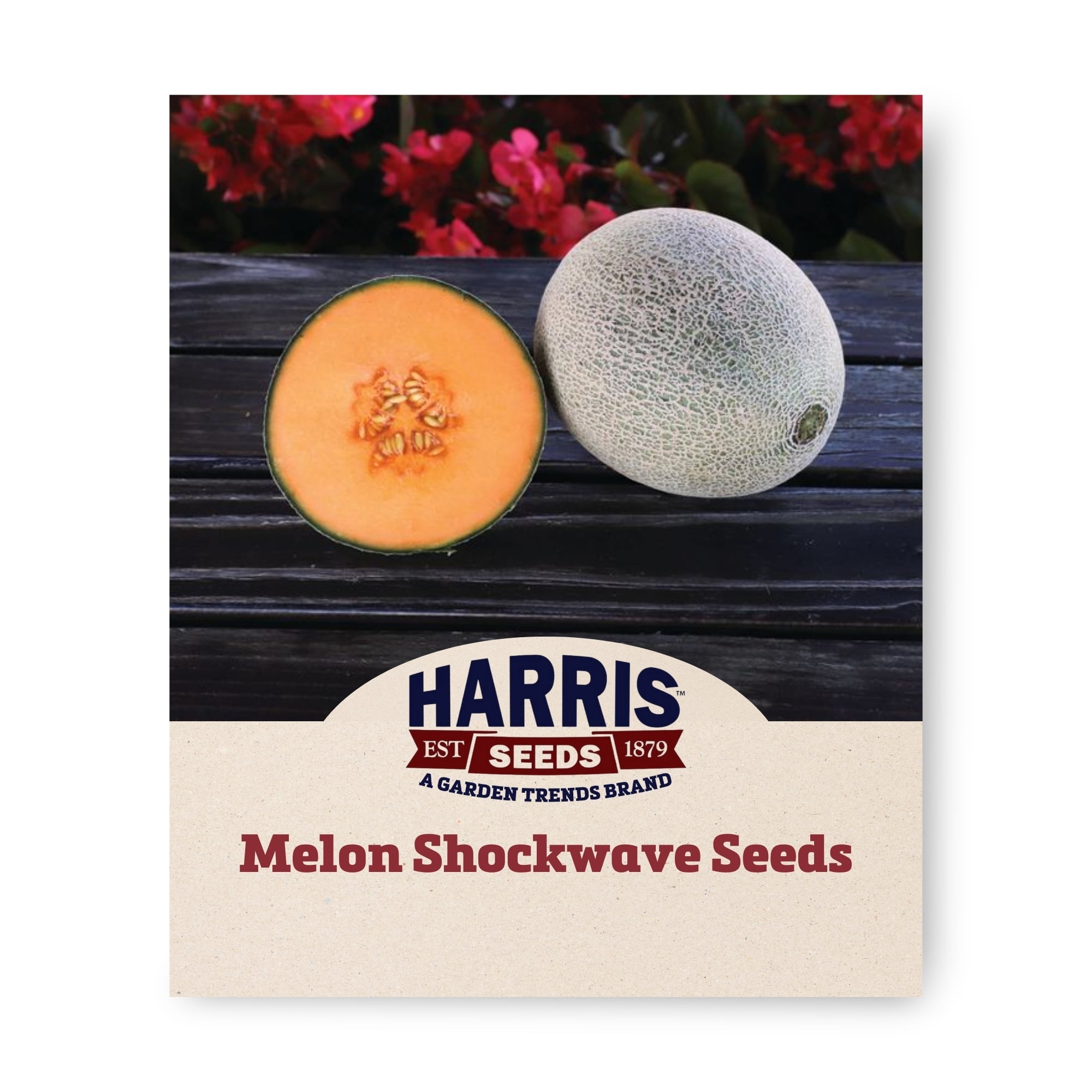 Harris Seeds - Melon Shockwave F1 Seeds - Treated - Sweet Orange Flesh ...
