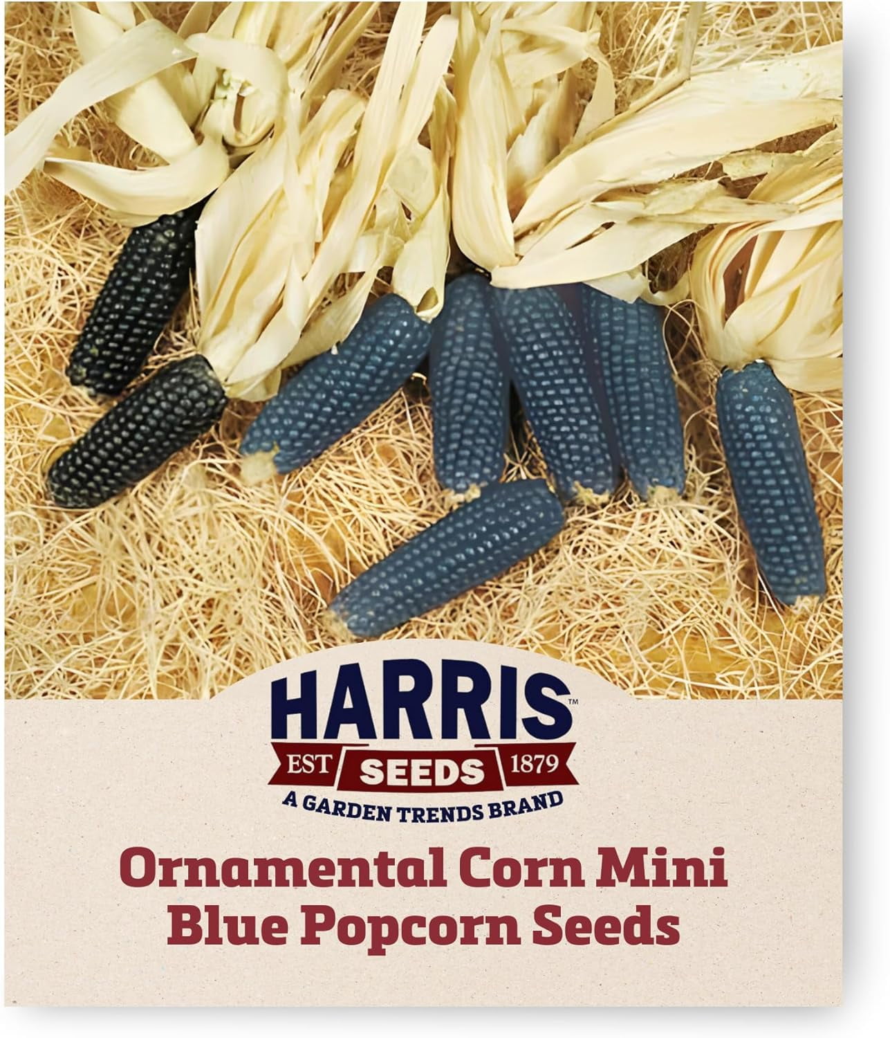 Harris Seeds - Mini Blue Popcorn Ornamental Corn Seeds Non-GMO - 5 lb ...