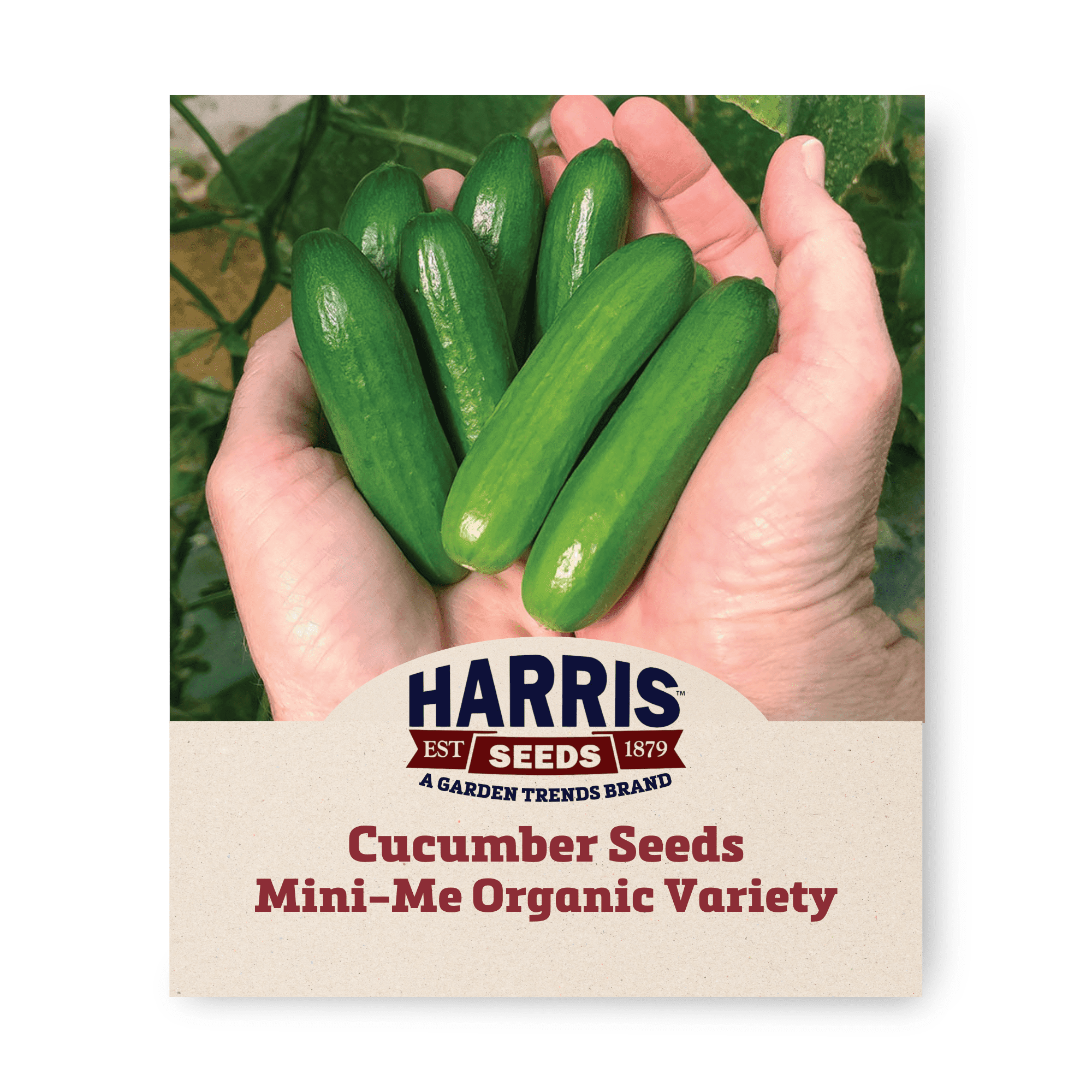 Harris Seeds 250 Cucumber Plant Seeds, Organic - Walmart.com