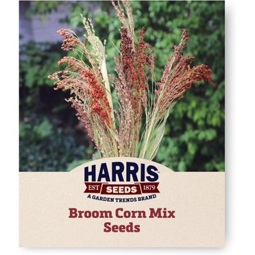 Basil Prospera Premium F1 Organic Seed - NON-GMO - 250 Seeds - Walmart.com