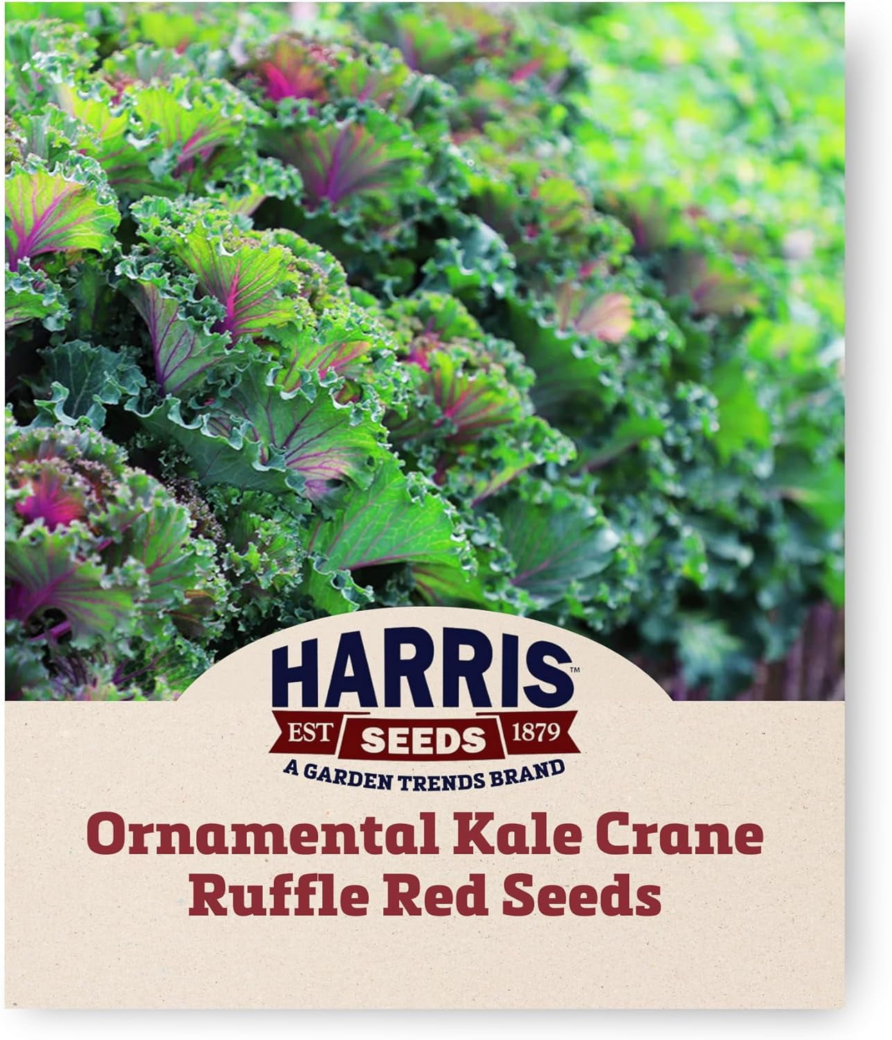 Harris Seeds - Non-GMO F1 Red Crane Ruffle Ornamental Kale Seed - 100 ...