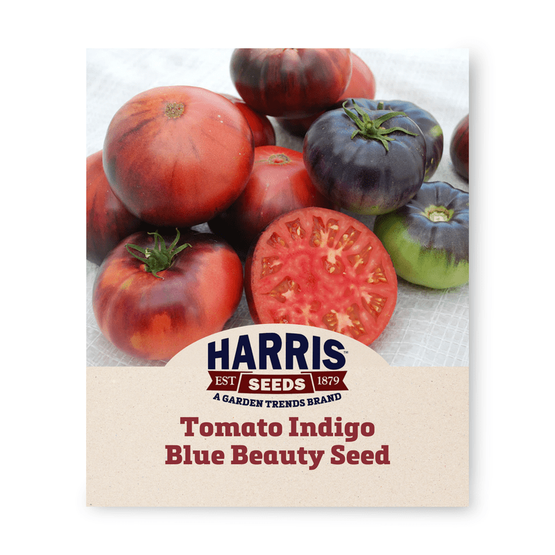 Harris Seeds - Non-GMO, Organic Tomato Indigo Blue Beauty Seeds - 500 ...