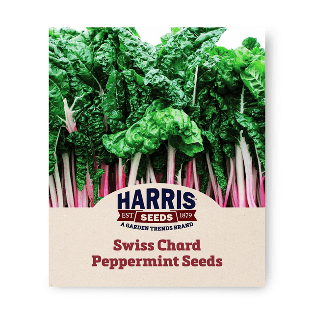 Harris Seeds - Non-GMO Swiss Chard Peppermint Seed for Planting - 10K ...