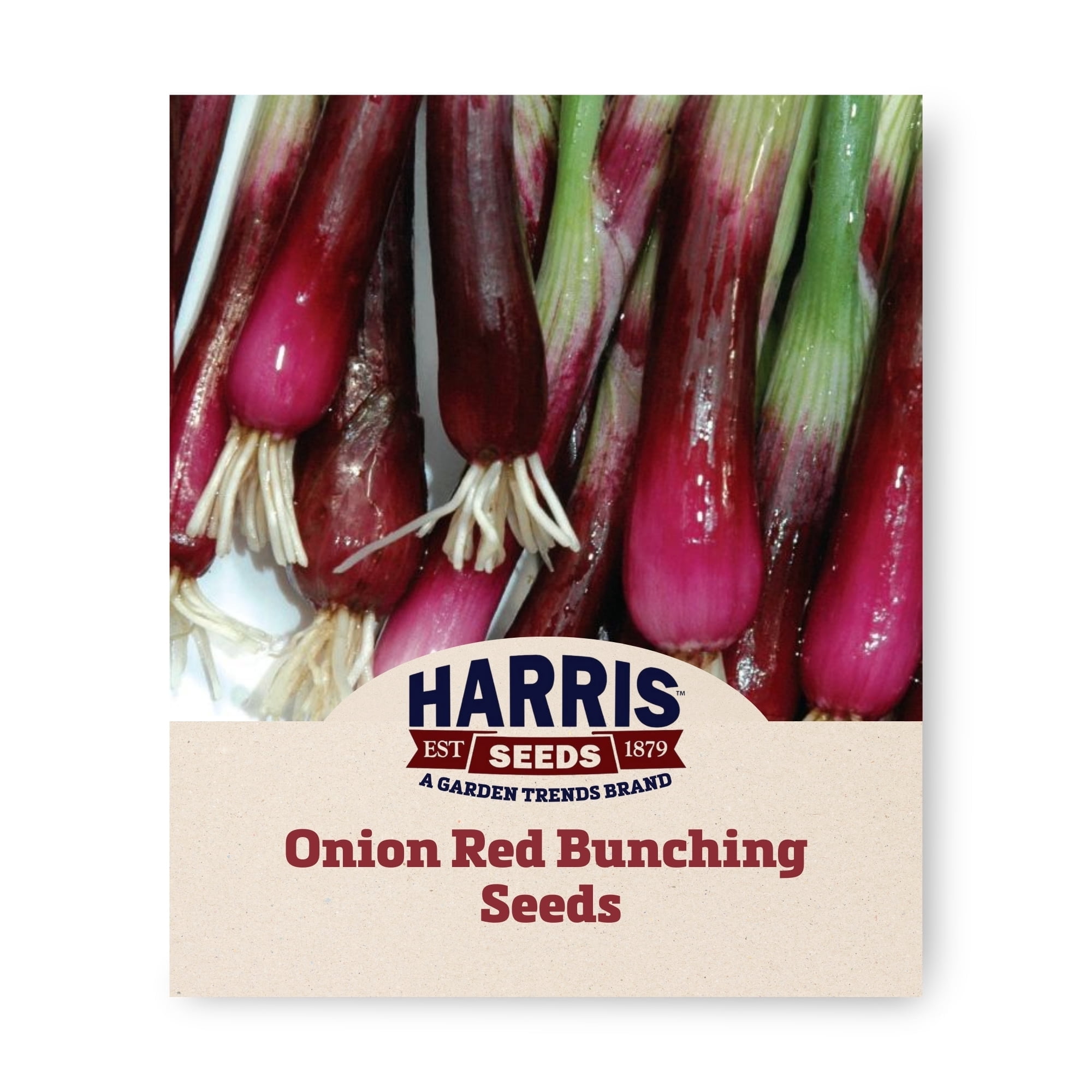 Harris Seeds - Treated Onion Red Bunching F1 Seeds - Sweet - Deep ...