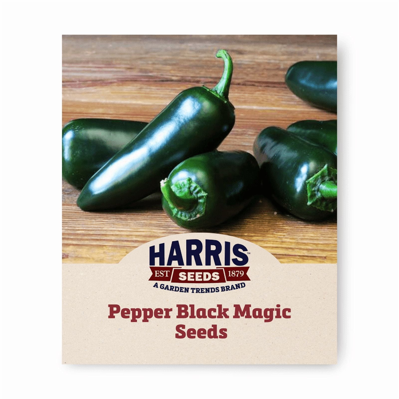 Harris Seeds - Organic F1 Black Magic Pepper Seeds for Planting - 50 ...