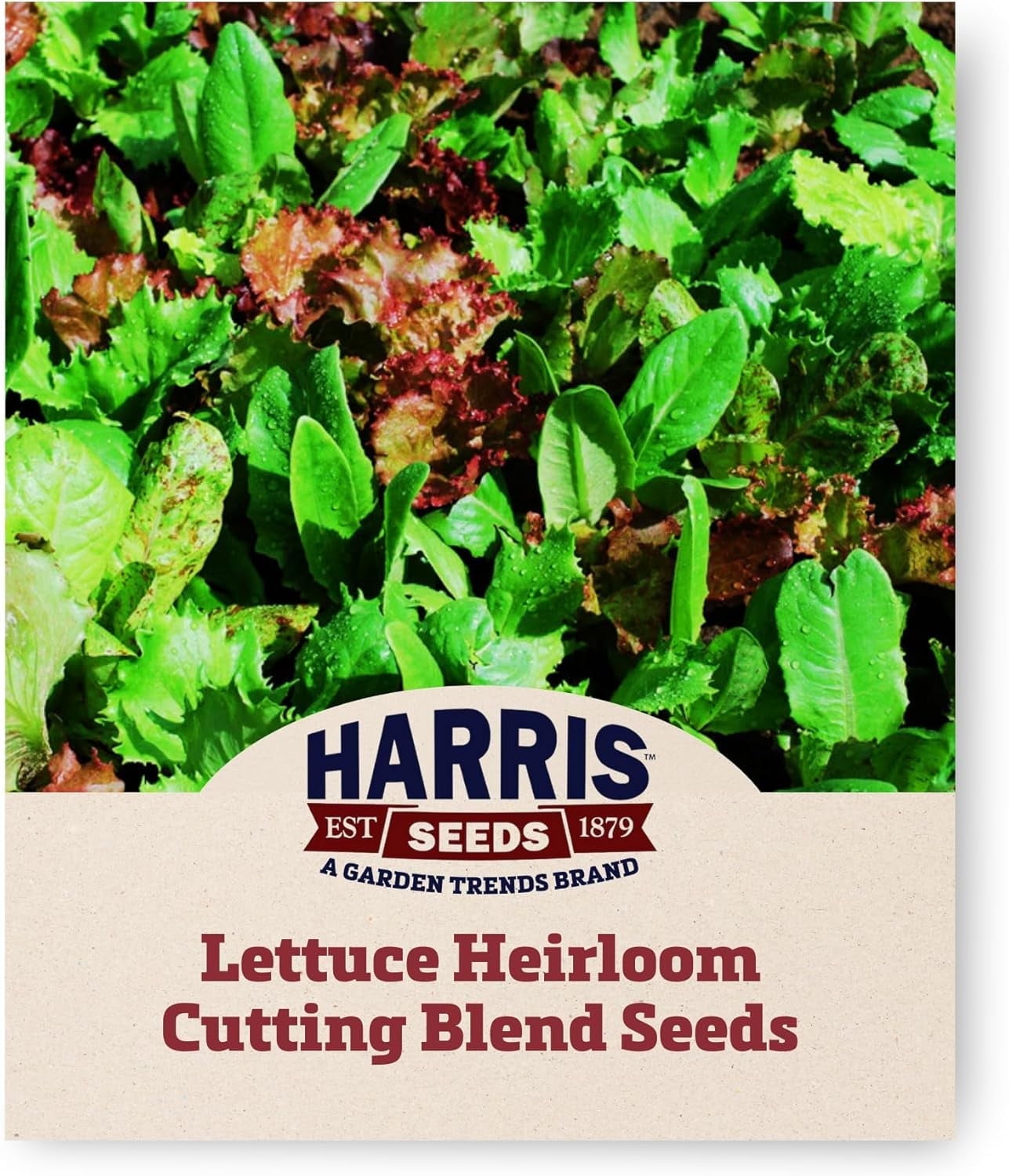 Harris Seeds - Organic Lettuce Seeds Heirloom Cutting Blend Variety ...