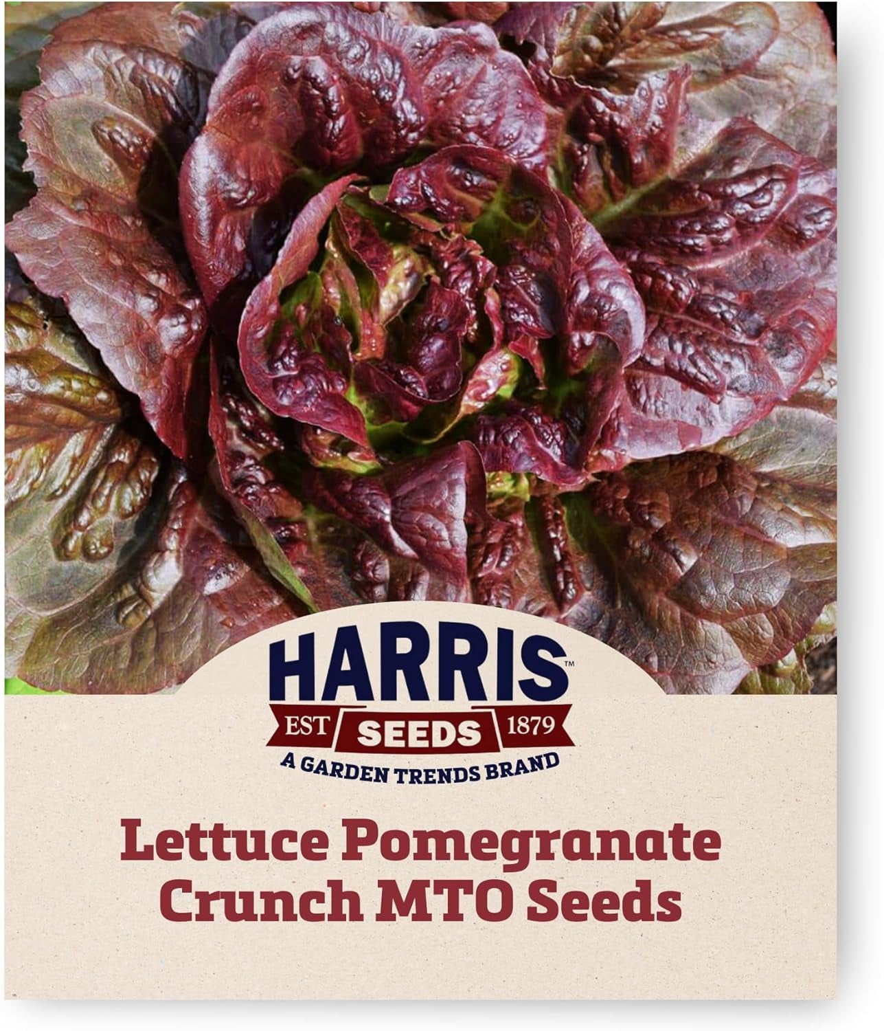 Harris Seeds - Organic Lettuce Seeds Pomegranate Crunch MTO Variety Red ...