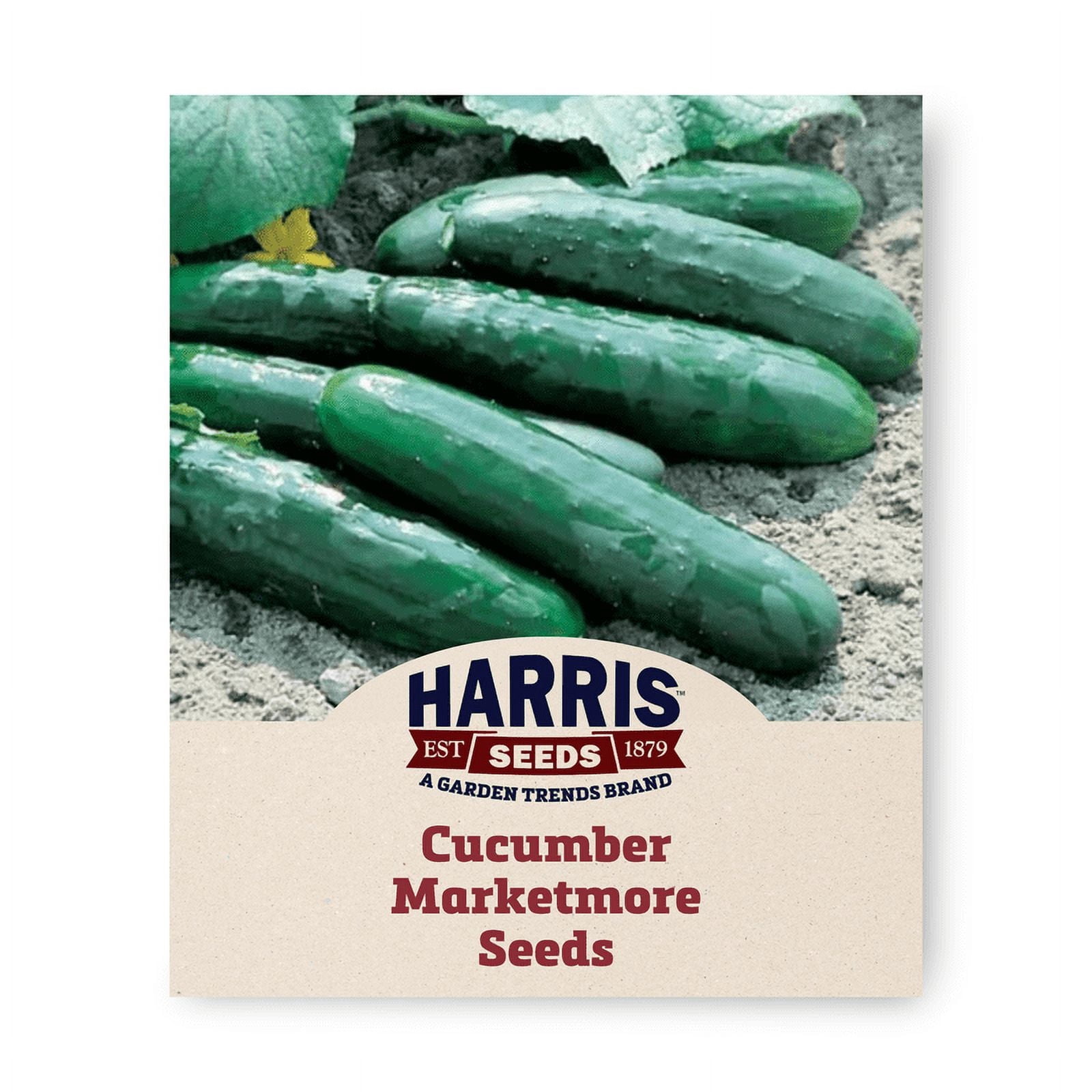 Harris Seeds - Organic Marketmore 76 Cucumber Seeds - NON-GMO - 50 ...