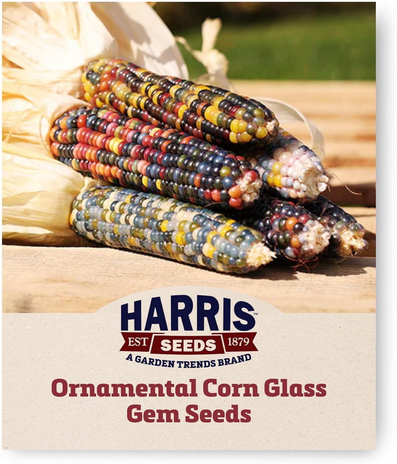 Harris Seeds - Organic Ornamental Corn Seeds Glass Gem Variety Multi ...
